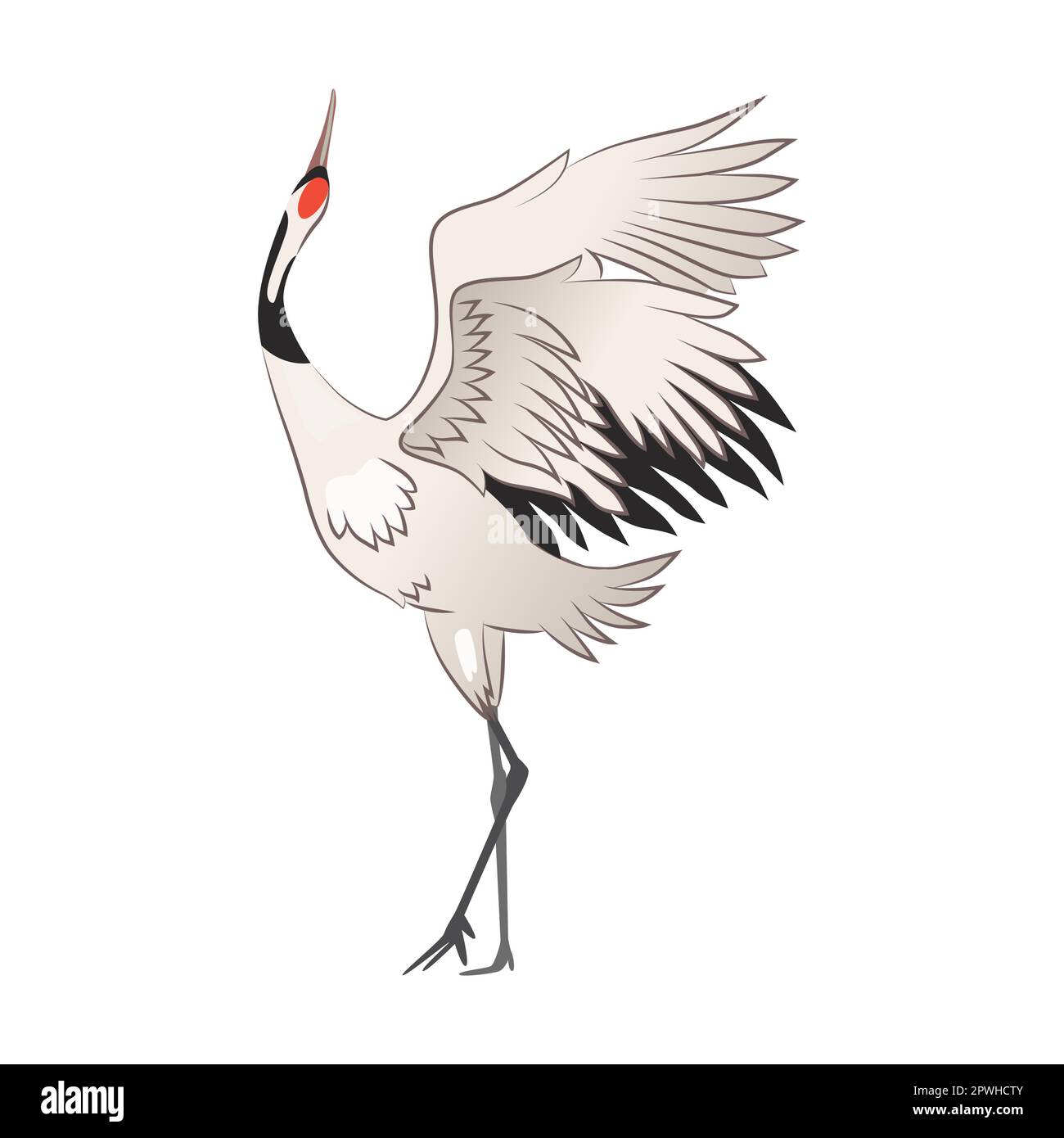 Crane bird cartoon illustration. Red crowned heron flapping wings ...