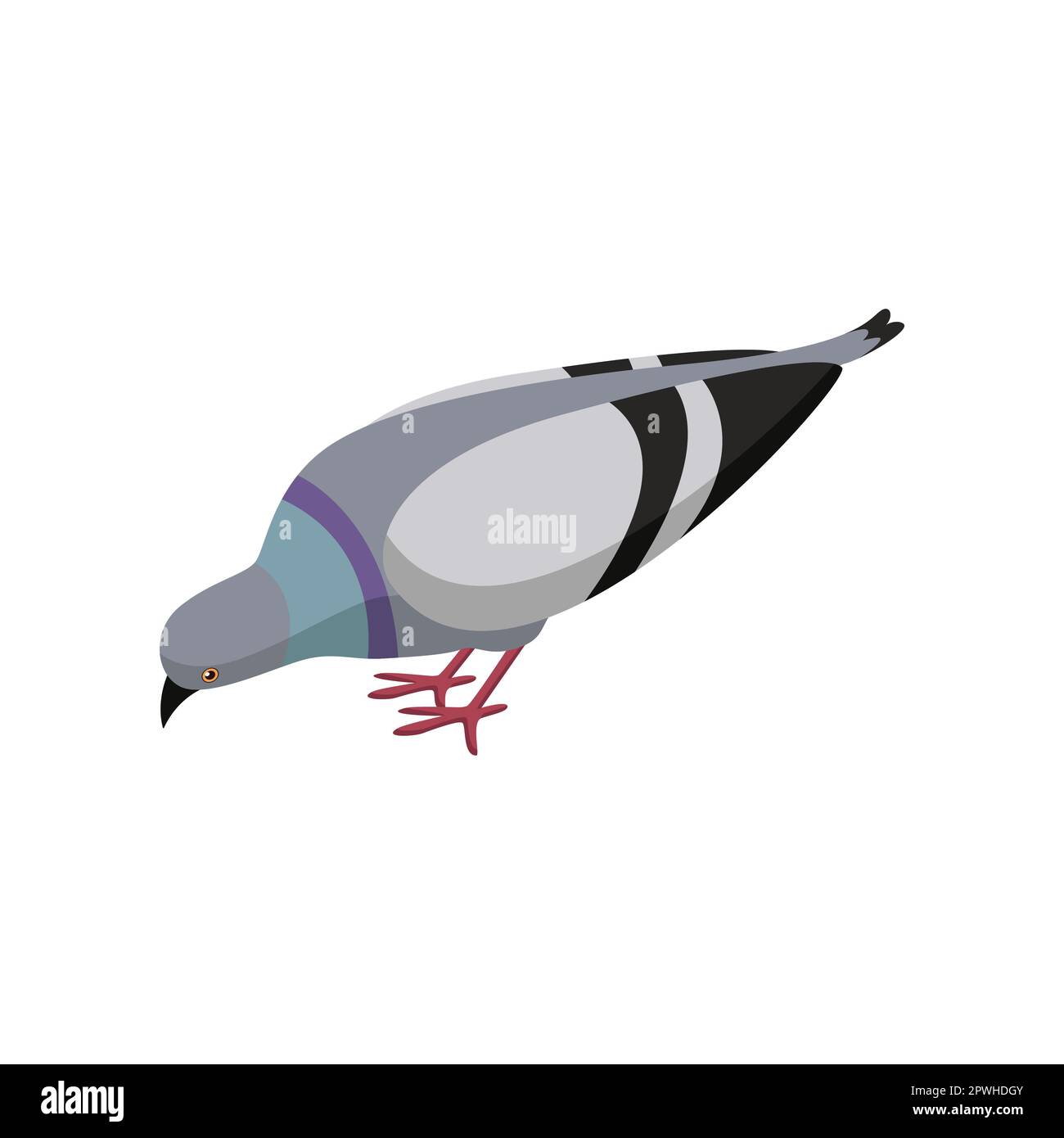 Cute colorful dove eating on white background Stock Vector Image & Art ...
