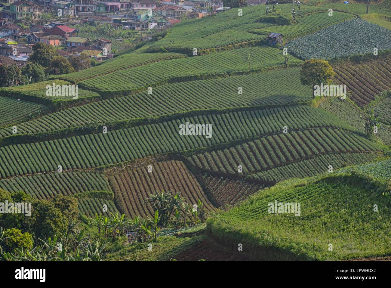 Cianjur, West Java, Indonesia. 30th Apr, 2023. A general view of an ...