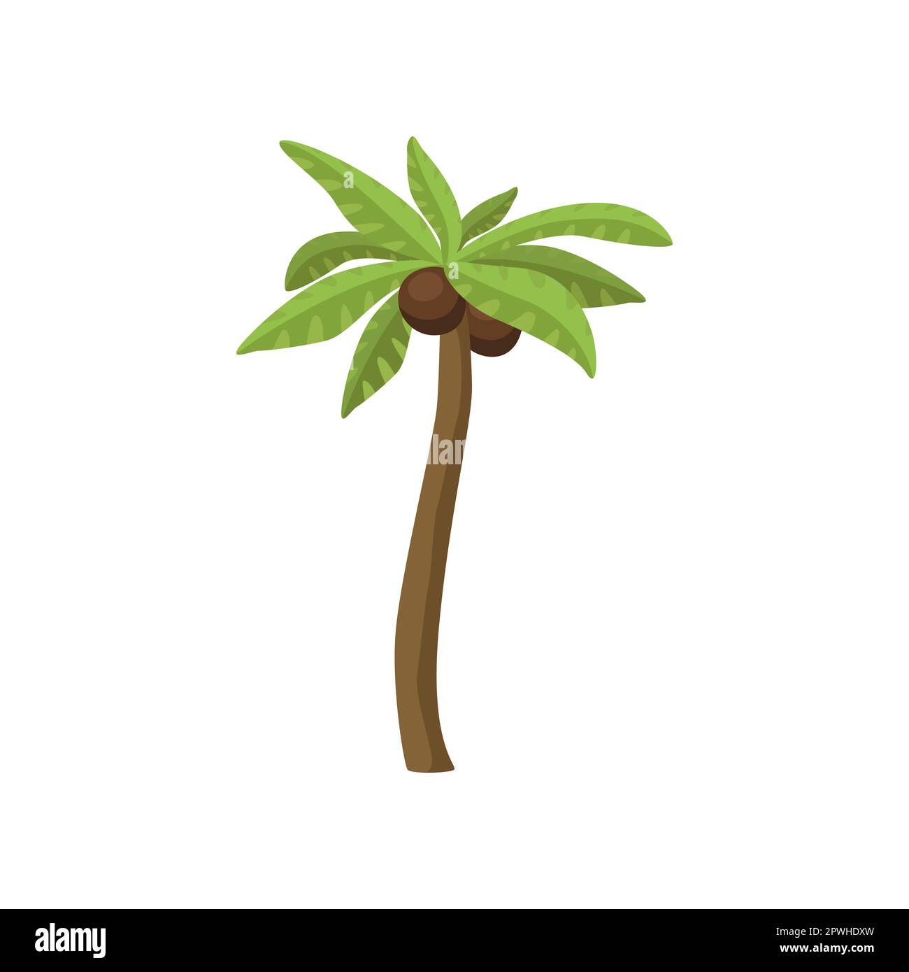 Shade coconut tree on Stock Vector Images - Alamy