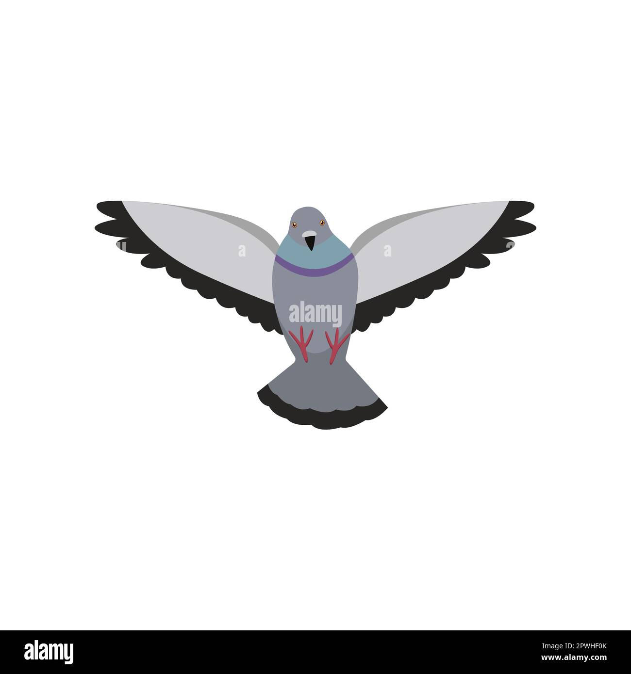 Cute colorful dove flying on white background Stock Vector Image & Art ...