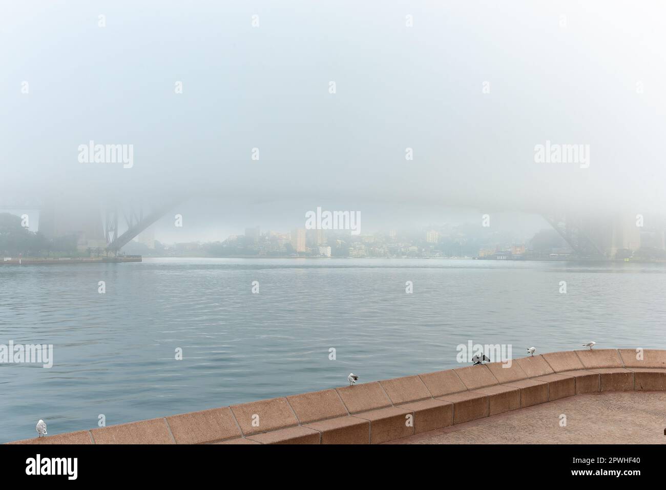 Mist shrouds Sydney harbour in morning light, Australia Stock Photo - Alamy