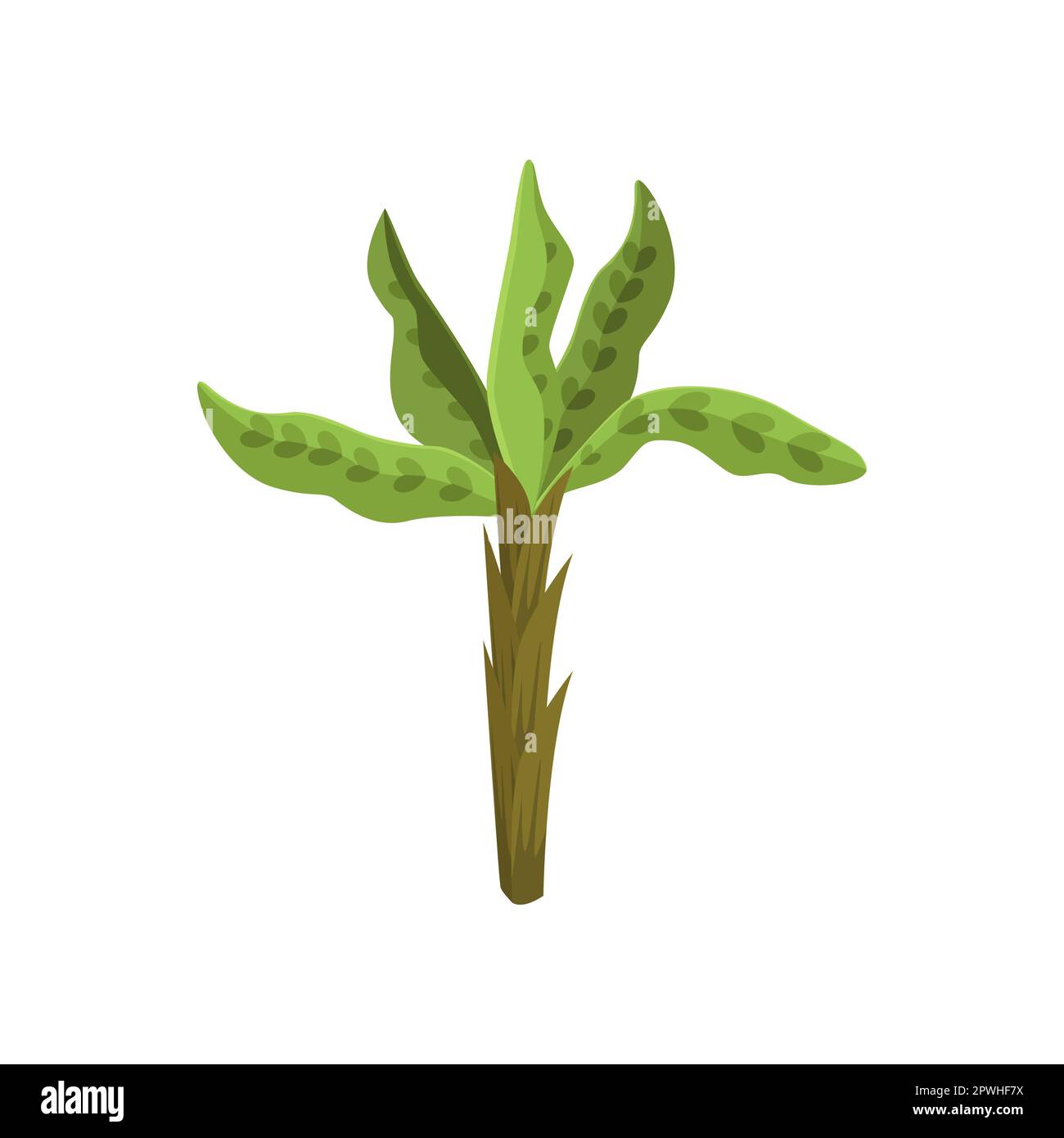 Banana vegetation Stock Vector Images - Alamy
