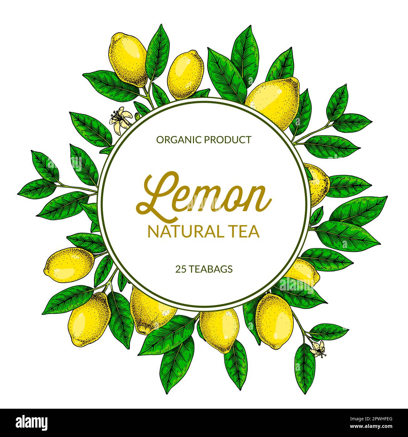 Circle lemon frame. Hand drawn colorful vector illustration in sketch ...