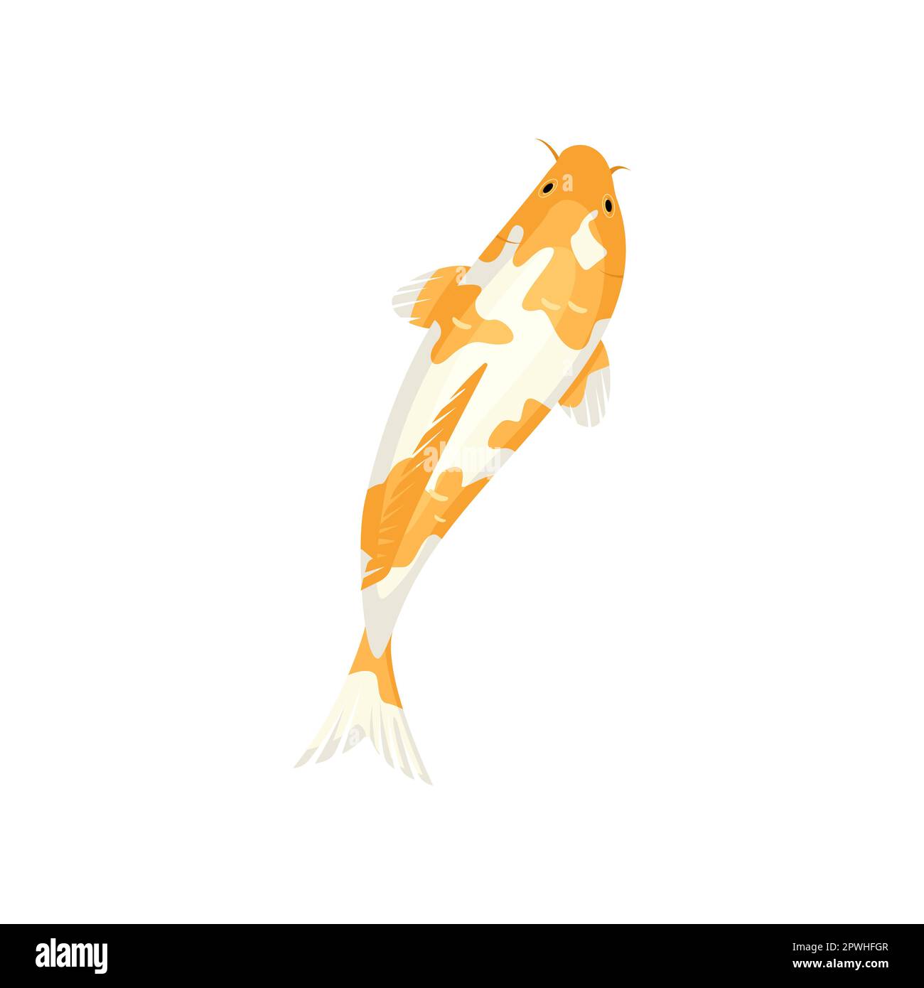 Golden and white koi fish swimming in pond cartoon illustration Stock ...