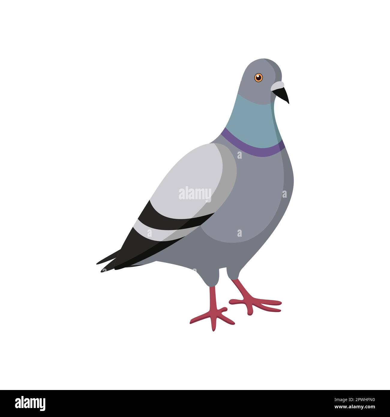 Cute colorful dove sitting on white background Stock Vector Image & Art ...