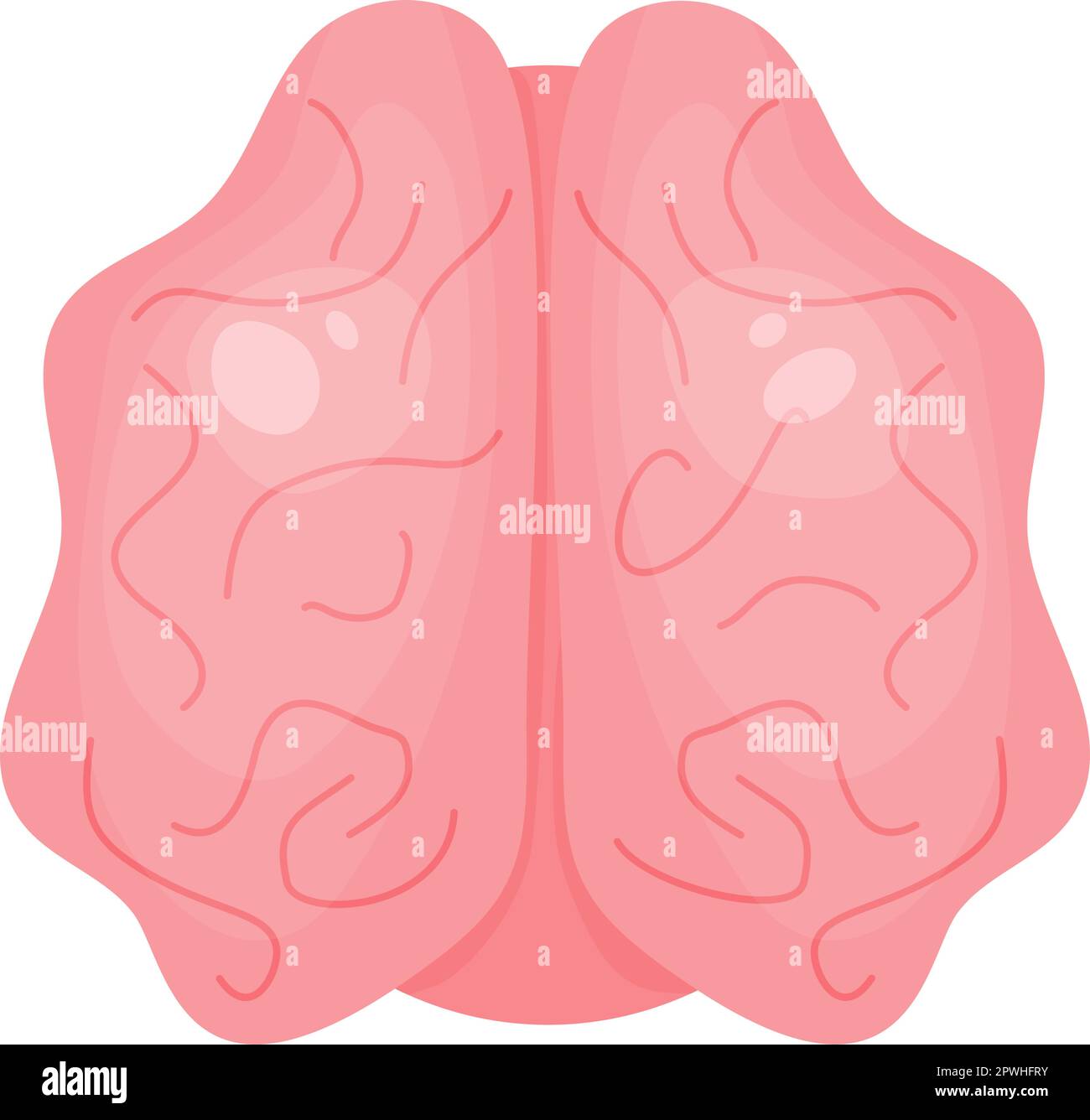 Cartoon brain. Human organ central nervous system. Vector illustration ...