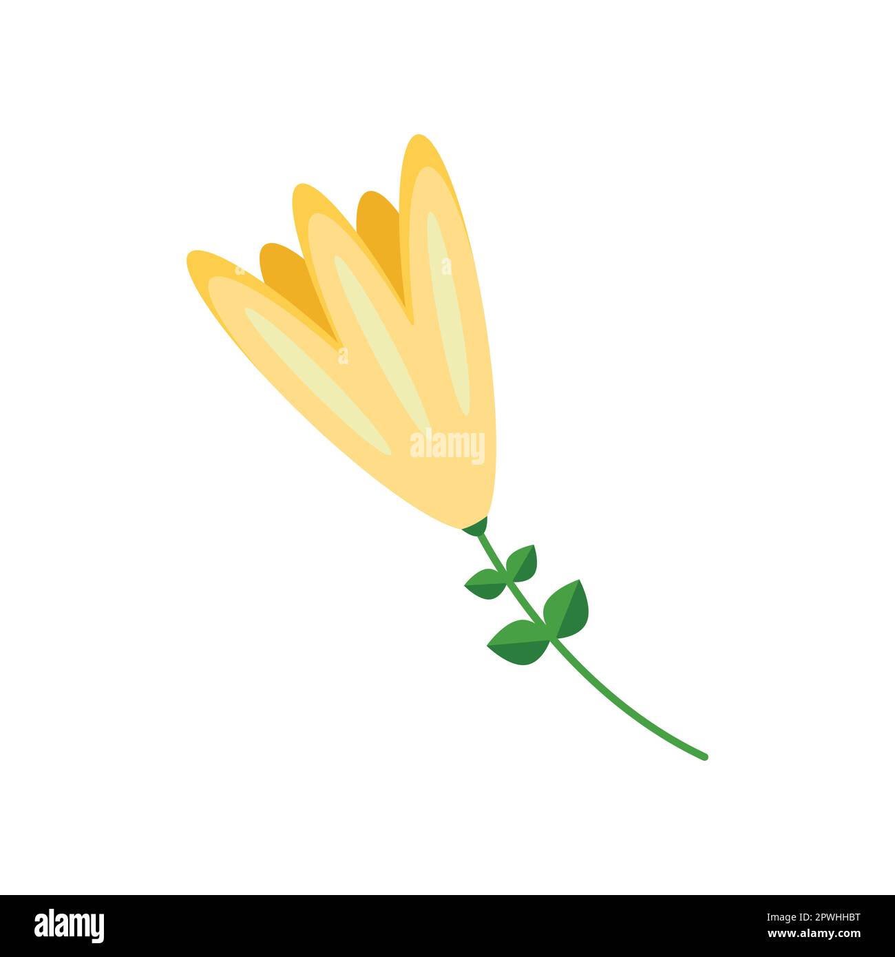 Yellow flower vector illustration Stock Vector Image & Art - Alamy