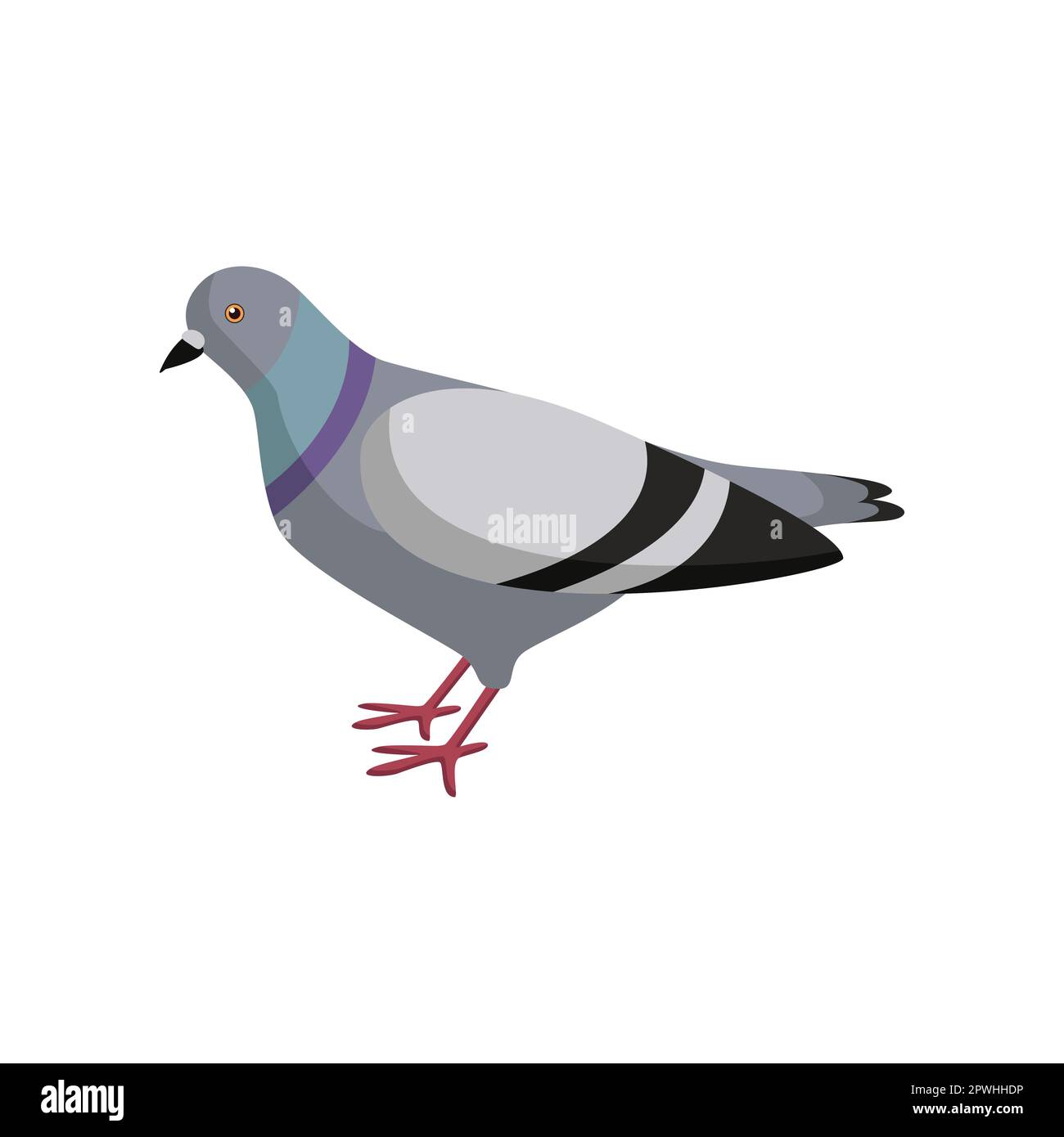 White dove side view Stock Vector Images - Alamy