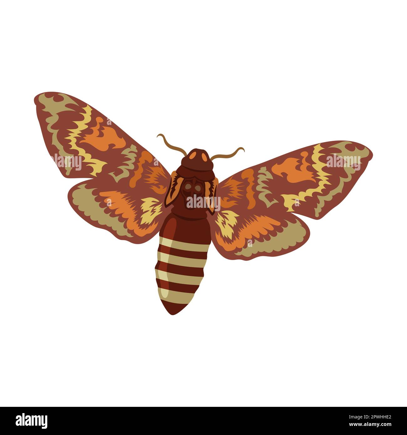 Night moth insect on white background cartoon illustration. Lady bug ...