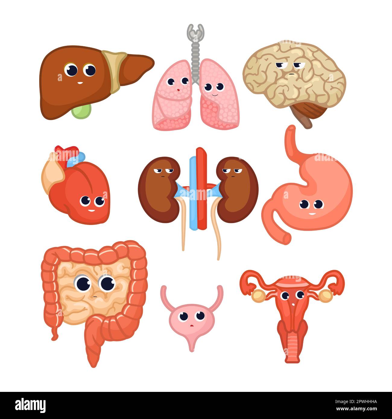 Different comic human internal organs vector illustrations set Stock ...