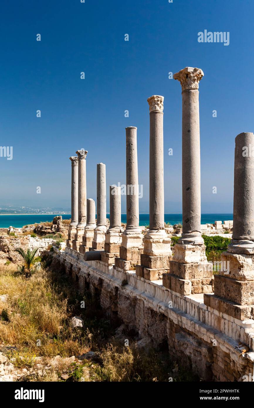 Tyre lebanon peninsula hi-res stock photography and images - Alamy