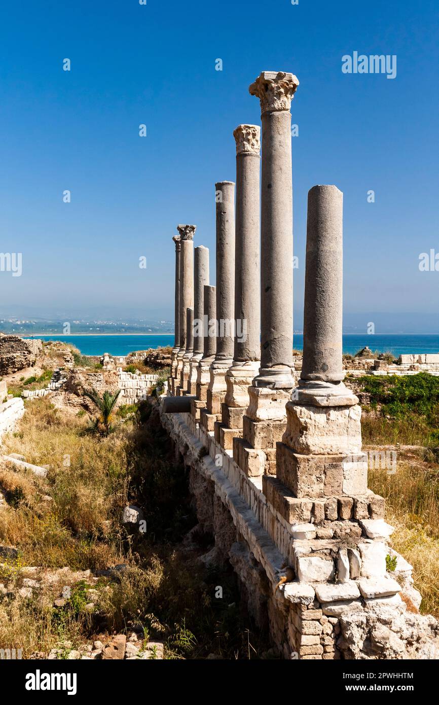 Roman columns at tip of Tyre peninsula, mediterranean sea, Tyre(Sour ...