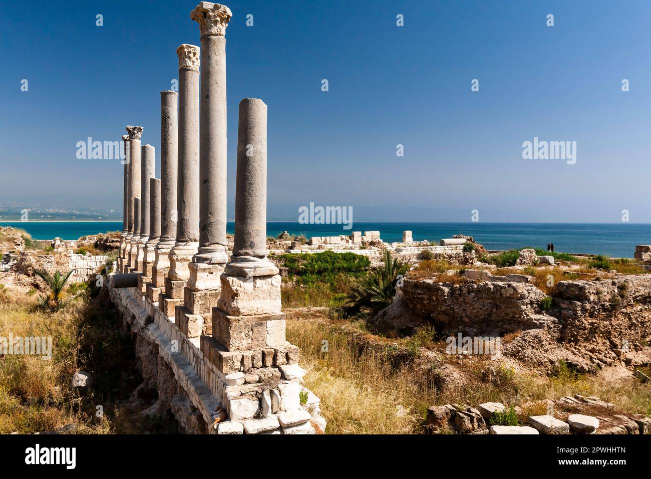 Roman columns at tip of Tyre peninsula, mediterranean sea, Tyre(Sour ...