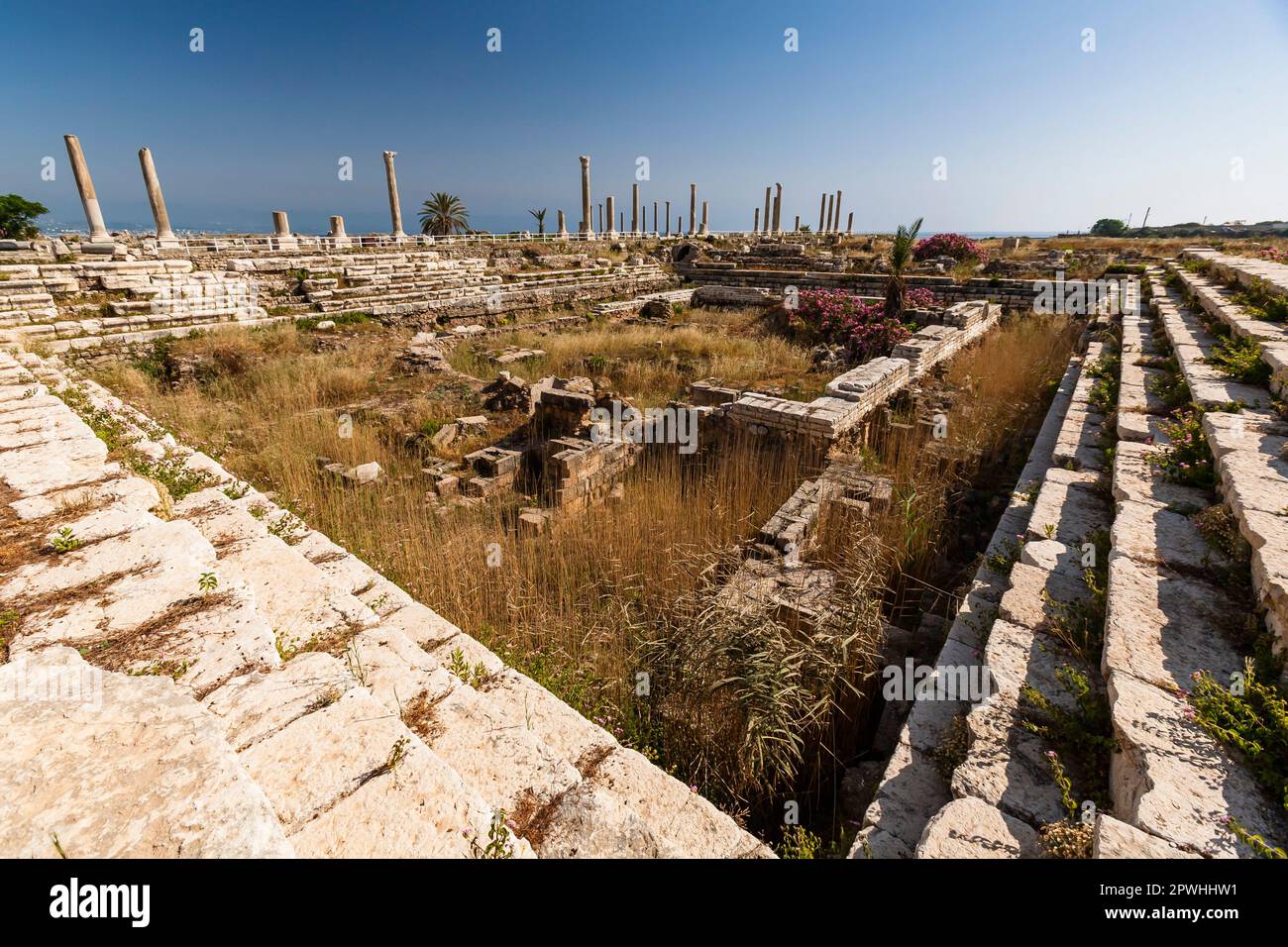 Roman ruin and columns at tip of Tyre peninsula, mediterranean sea ...