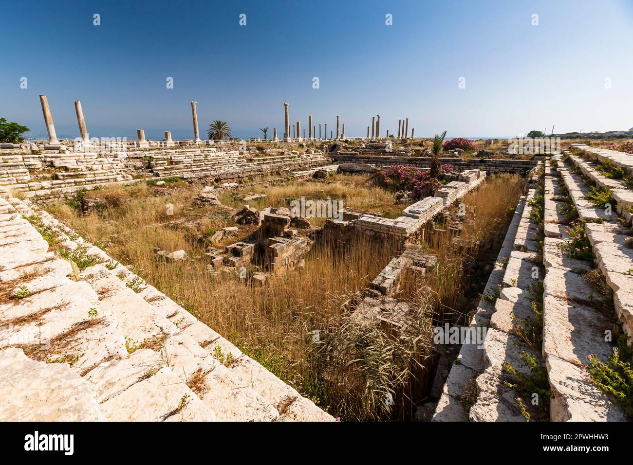 Roman ruin and columns at tip of Tyre peninsula, mediterranean sea ...