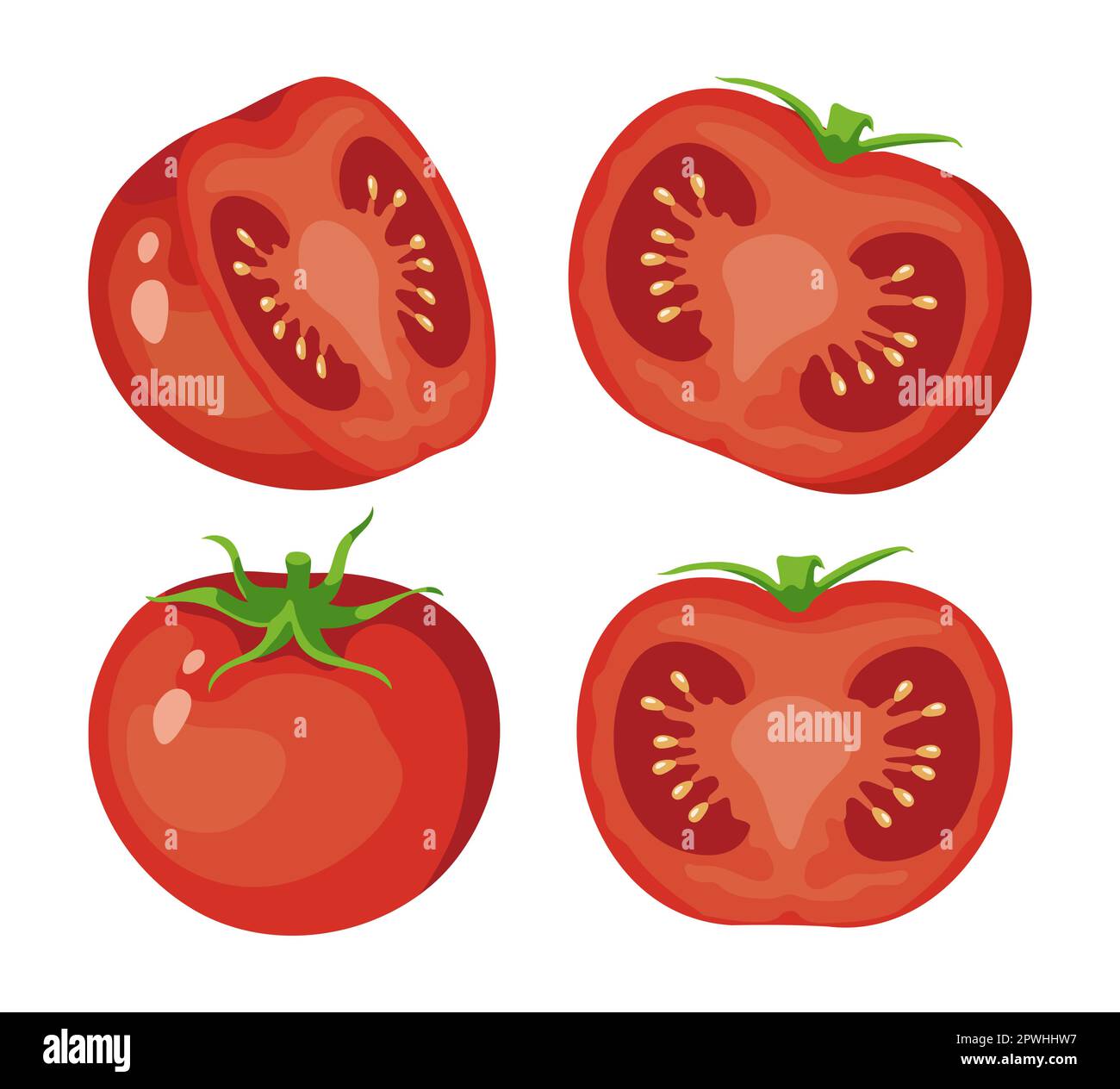 Halves of ripe tomato vector illustrations set Stock Vector Image & Art ...