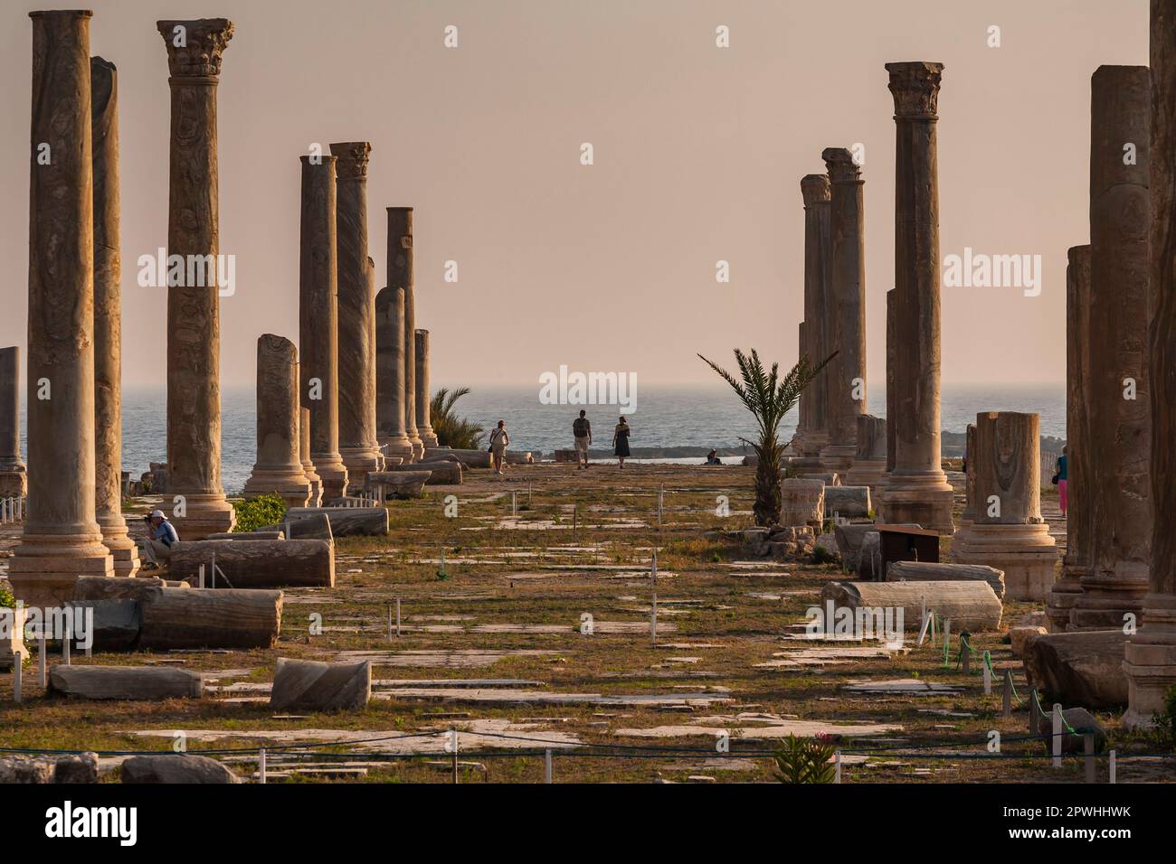 Roman ruins and columns at tip of Tyre peninsula, evening ...