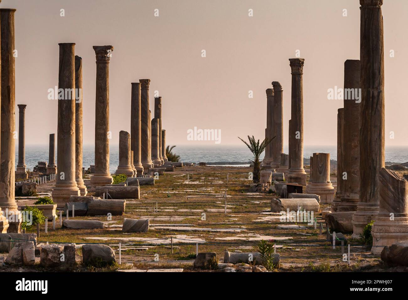 Tyre lebanon peninsula hi-res stock photography and images - Alamy