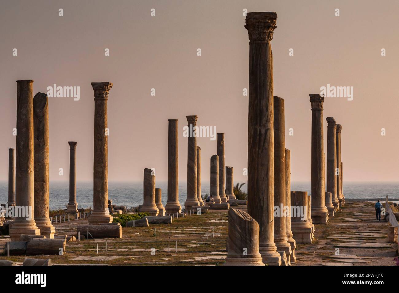 Roman ruins and columns at tip of Tyre peninsula, evening ...