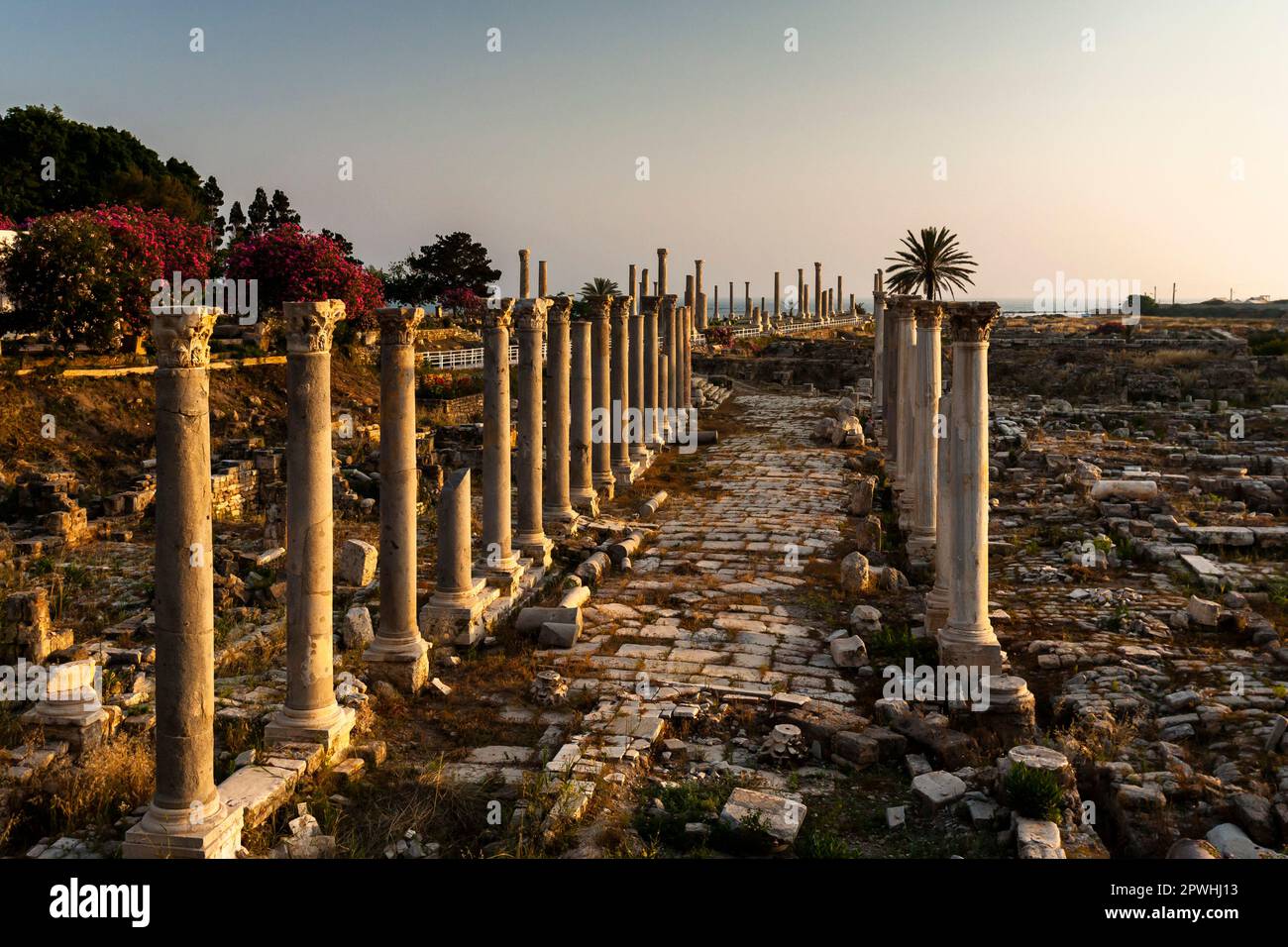 Roman ruins and columns at tip of Tyre peninsula, evening ...