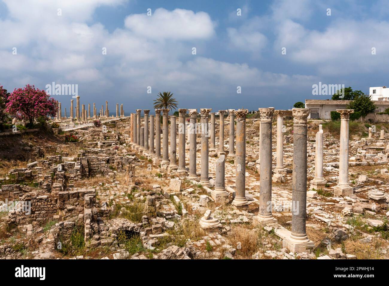 Roman ruins and columns at tip of Tyre peninsula, mediterranean sea ...