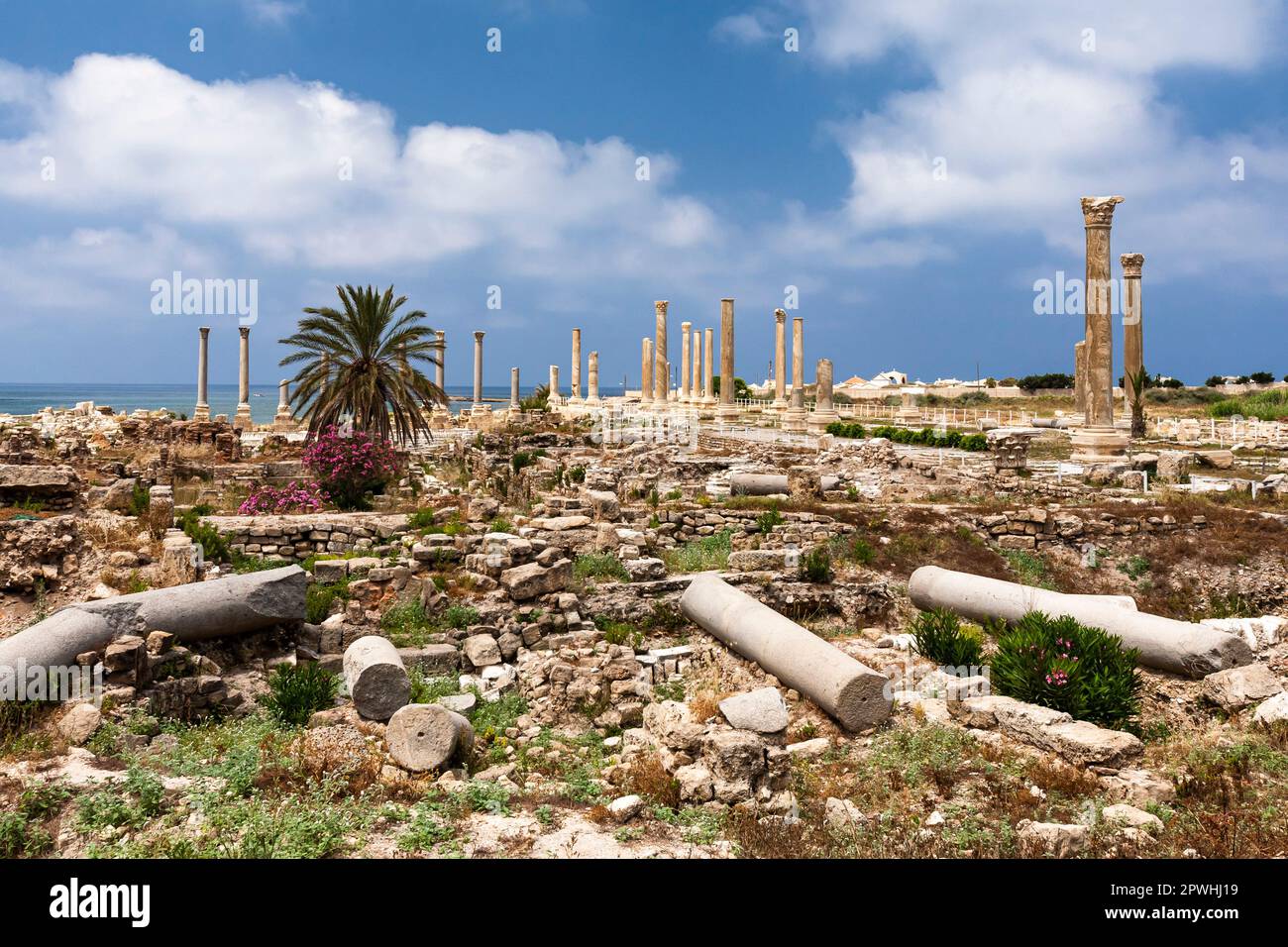Roman ruins and columns at tip of Tyre peninsula, mediterranean sea ...