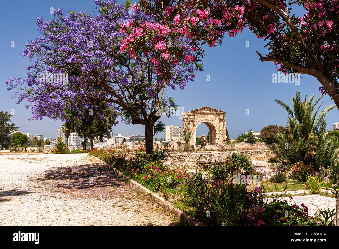 Necropolis and Roman triumph arch, at Tyre main land, Tyre(Sour,Sur ...