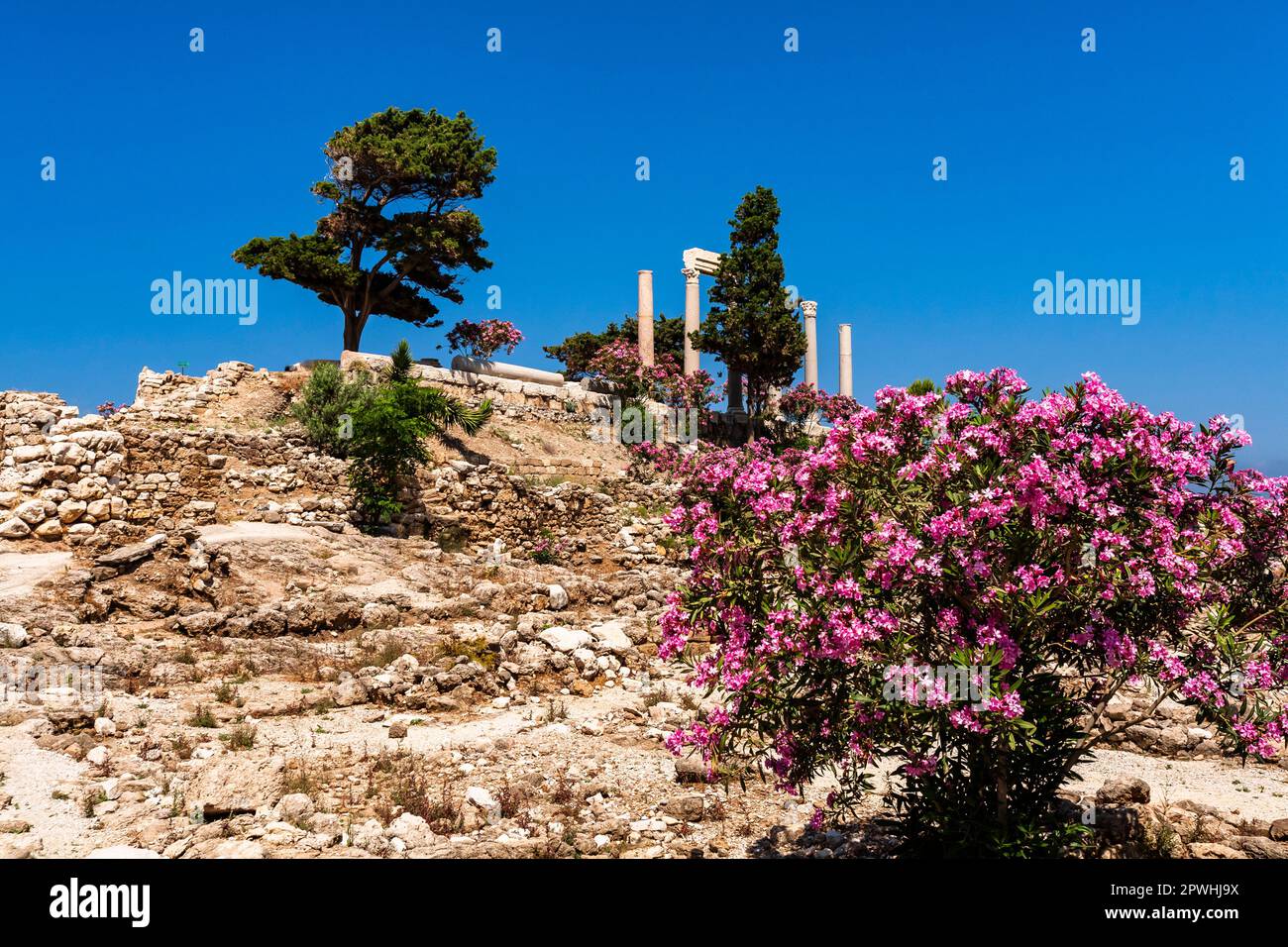Archaeological site of old Byblos, mediterranean sea, Byblos(Jbeil ...