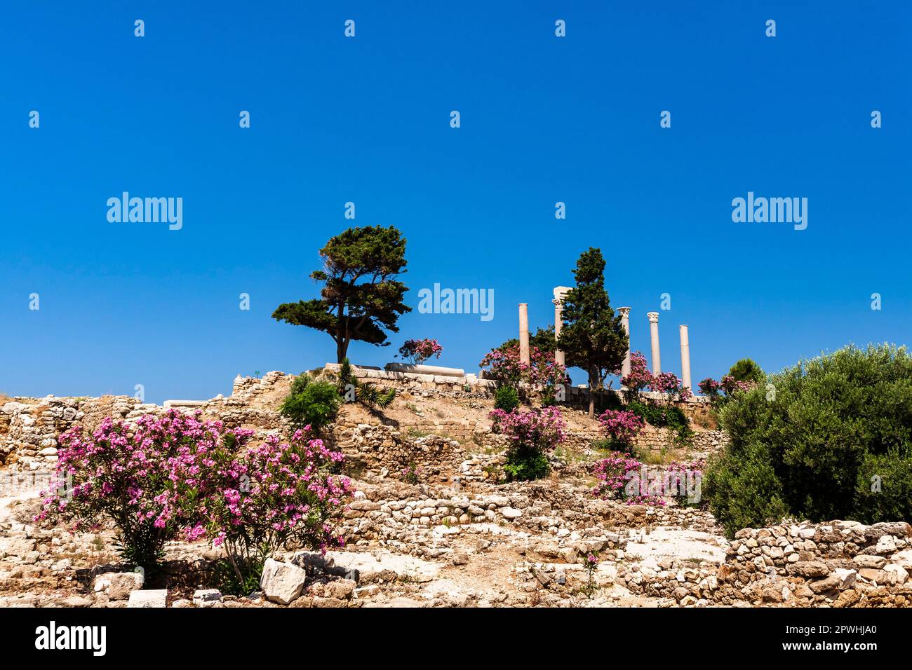 Archaeological site of old Byblos, mediterranean sea, Byblos(Jbeil ...