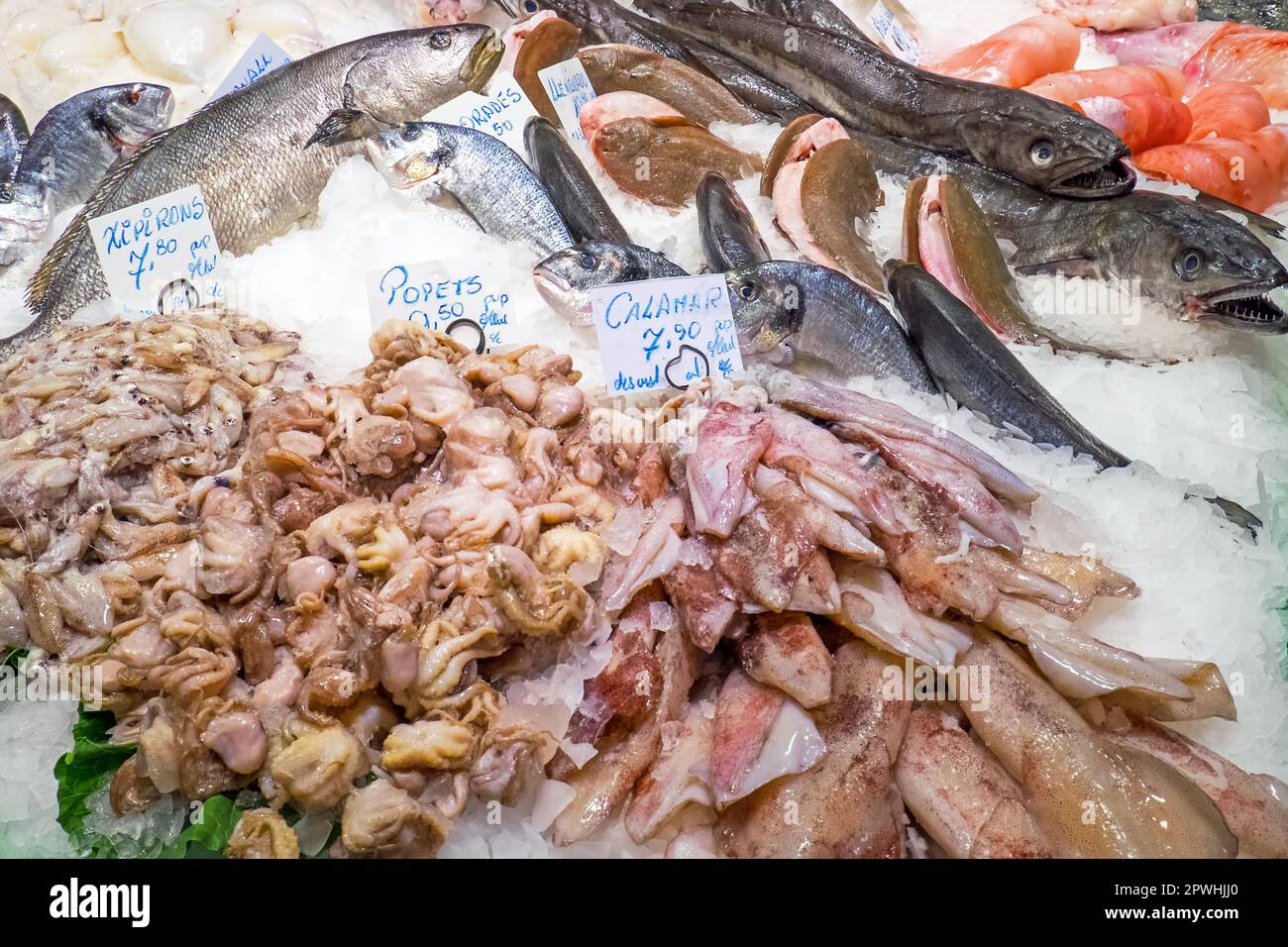 Fish and seafood at a market in Barcelona Stock Photo - Alamy