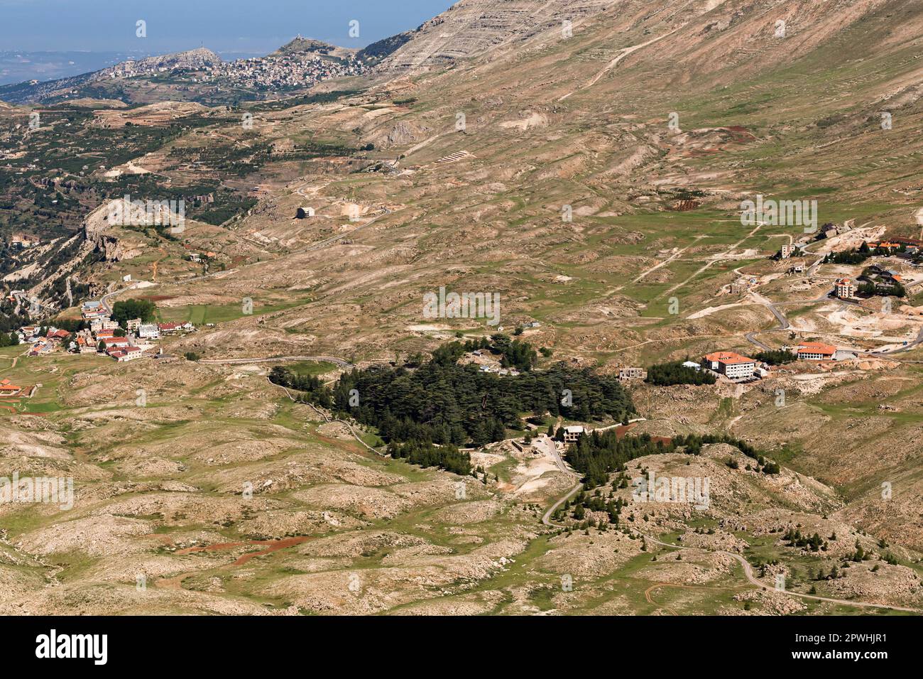Cedar forest lebanon unesco hi-res stock photography and images - Alamy