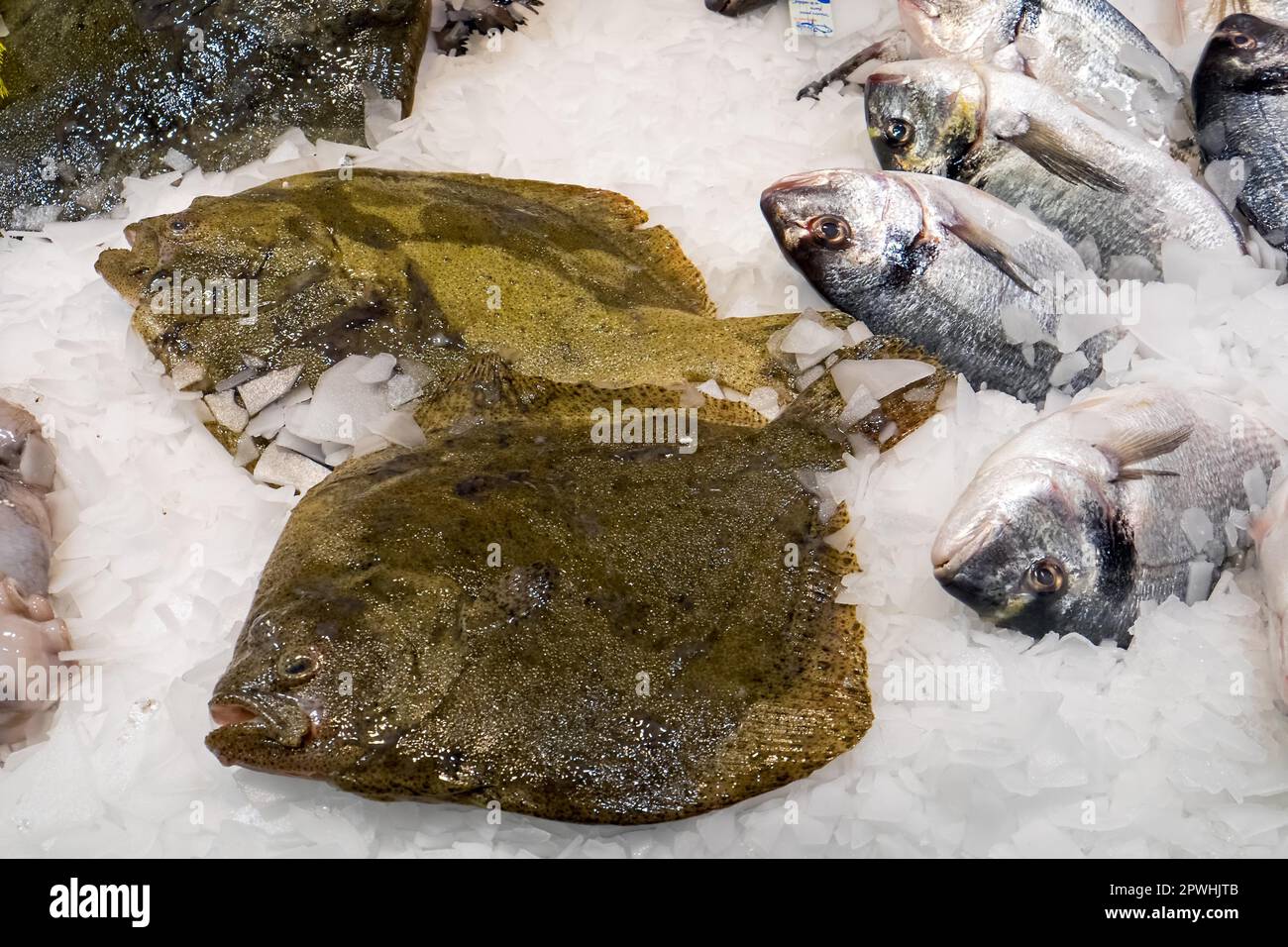 Fresh plaice fish hi-res stock photography and images - Alamy