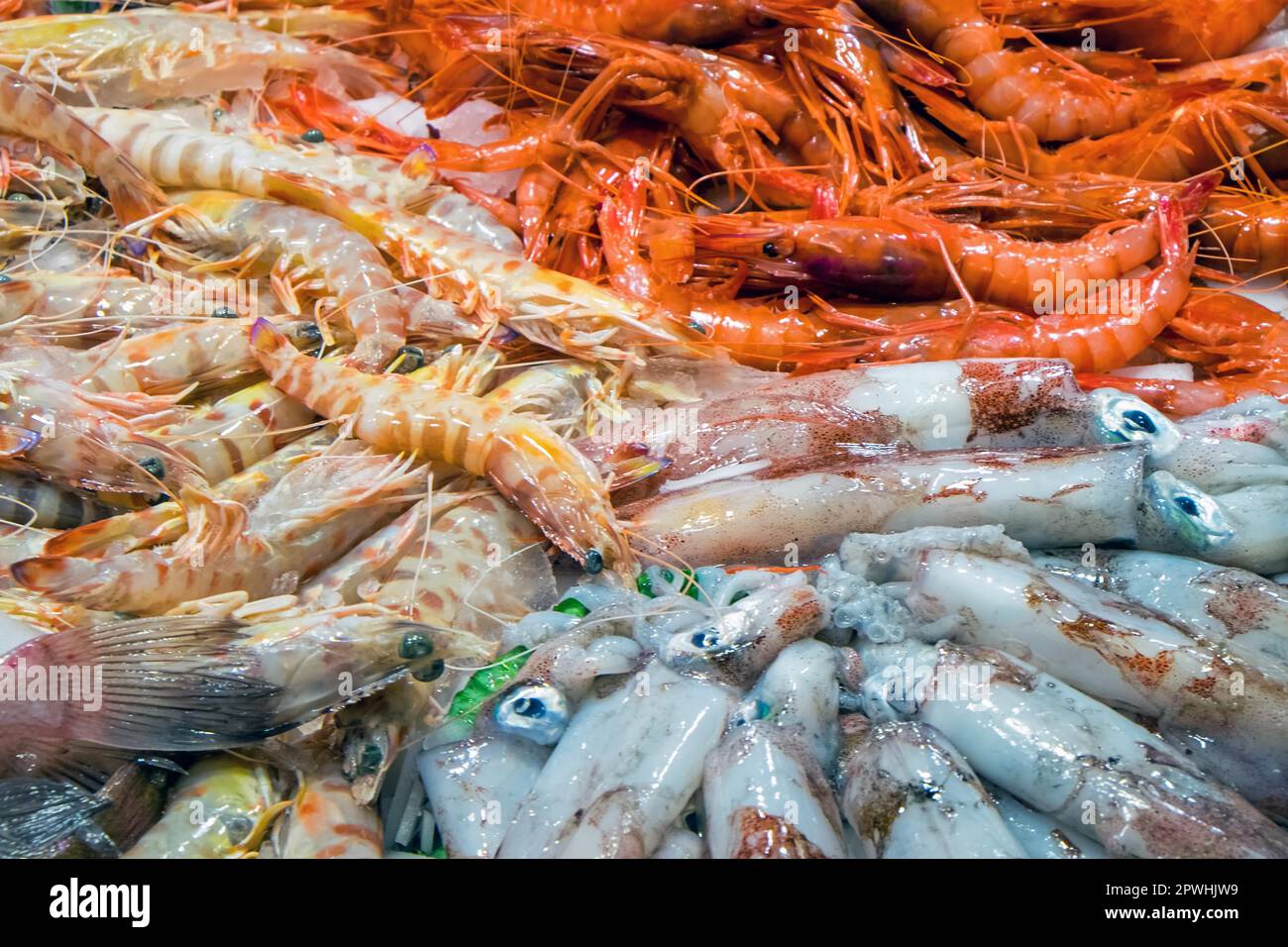 Prawns and squid for sale at a market Stock Photo - Alamy