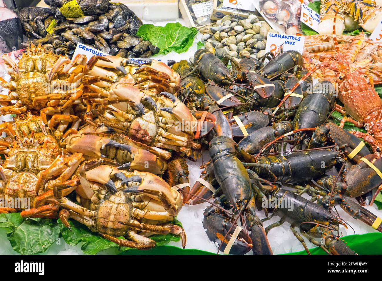 Shellfish at the Boqueria in Barcelona Stock Photo - Alamy