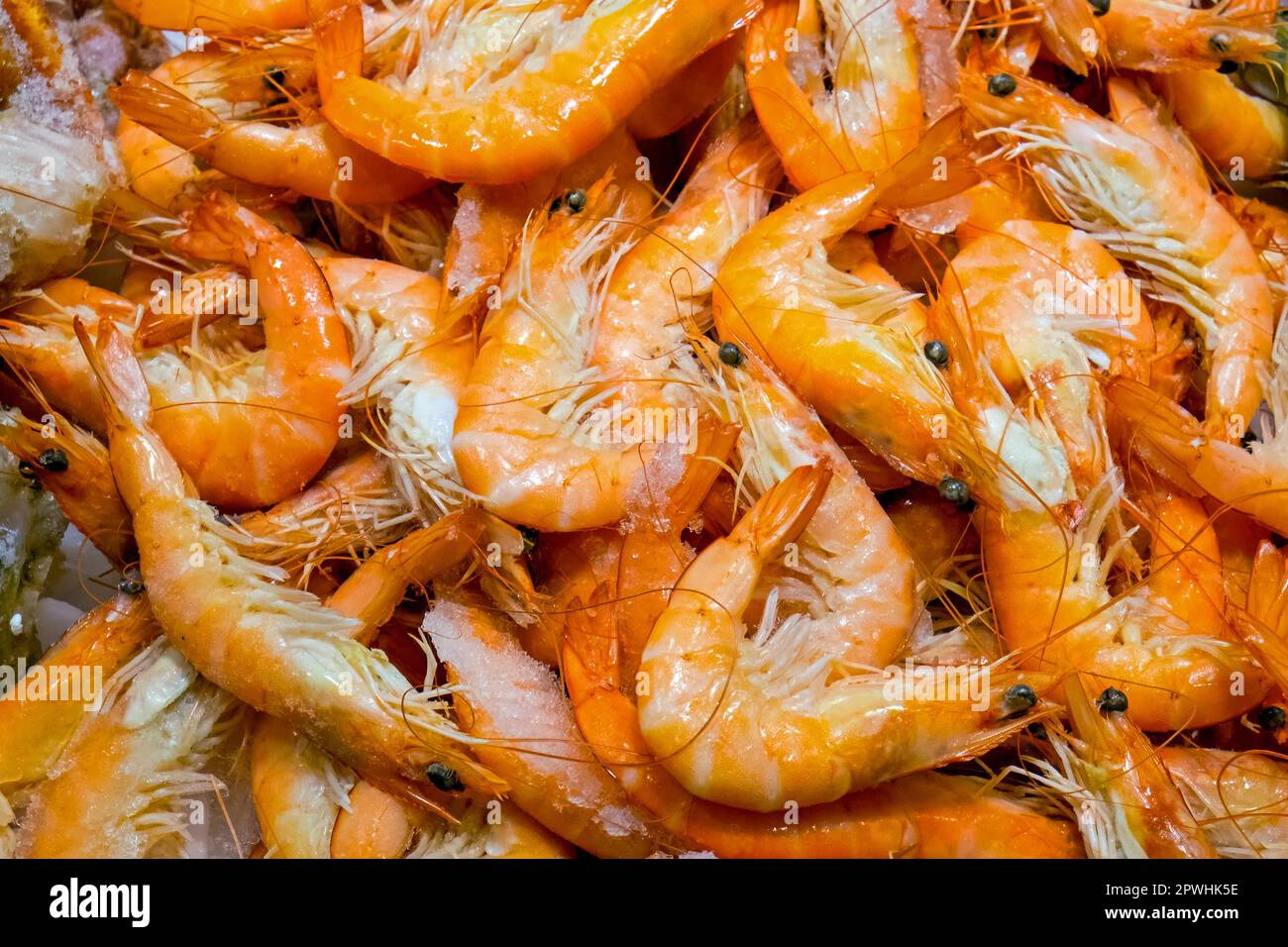 Fresh red prawns at the fish market Stock Photo - Alamy