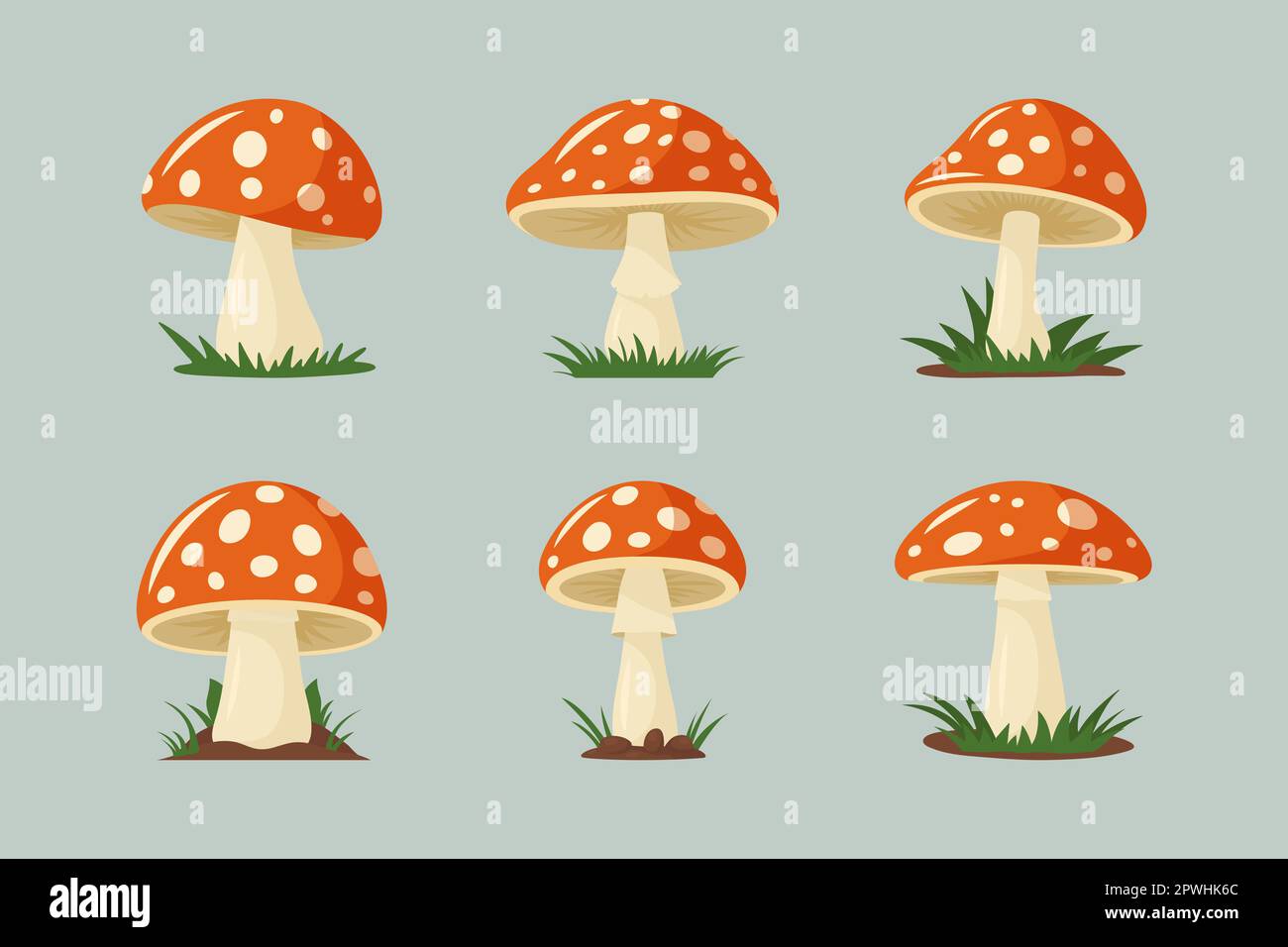 Vector Hand Drawn Cartoon Flat Mushroom Icon Set Amanita Muscaria Fly
