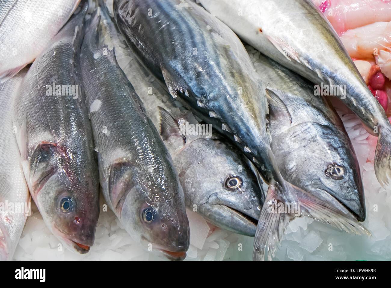 Fresh fish for sale at the market Stock Photo - Alamy