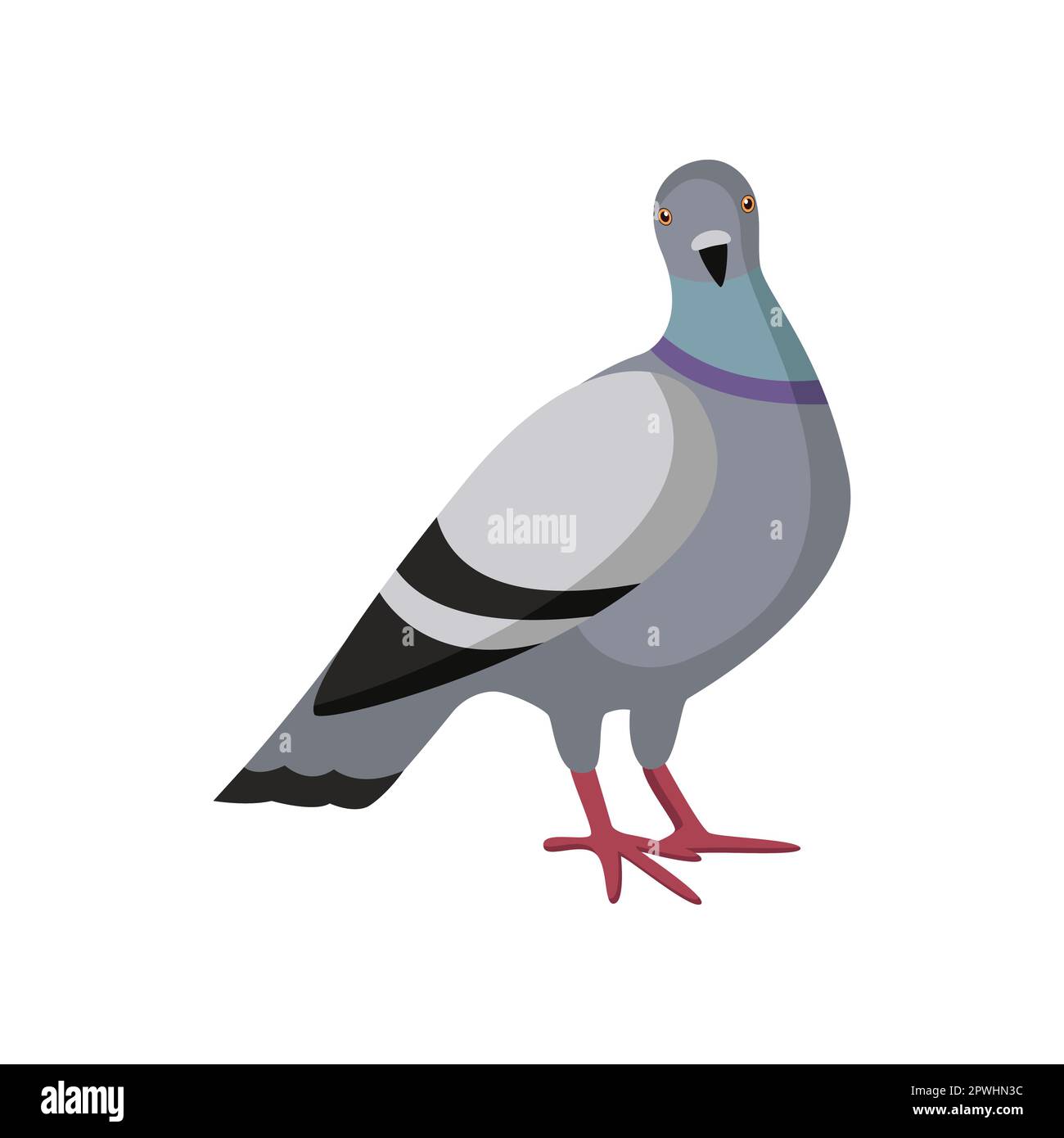 Cute colorful dove sitting and looking on white background Stock Vector ...