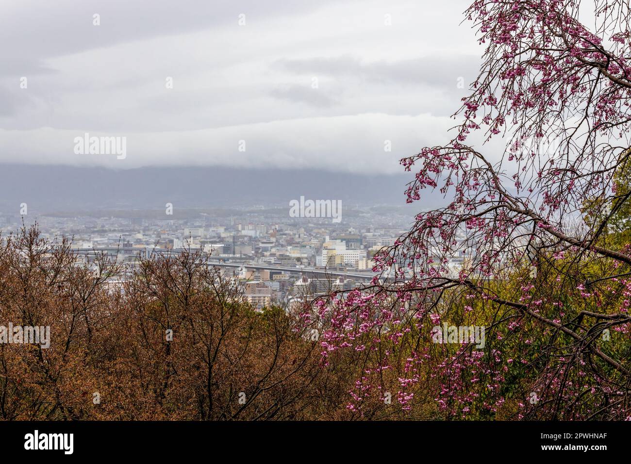 Aerial view of Kyoto, Japan, from Mount Inari-san Stock Photo - Alamy