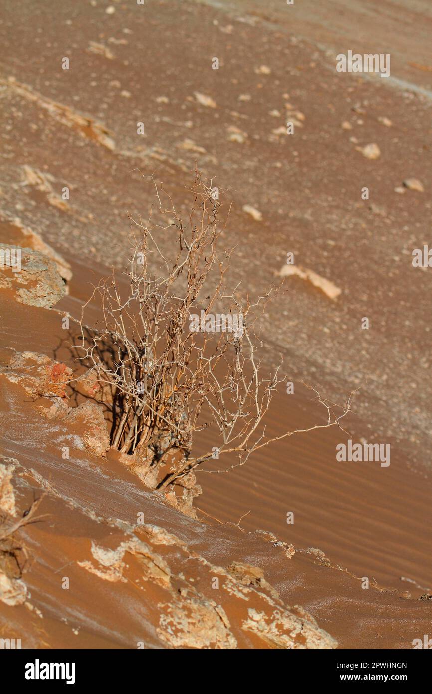 Desert Landscape, Dashd-e-Kavir, Iran Stock Photo - Alamy
