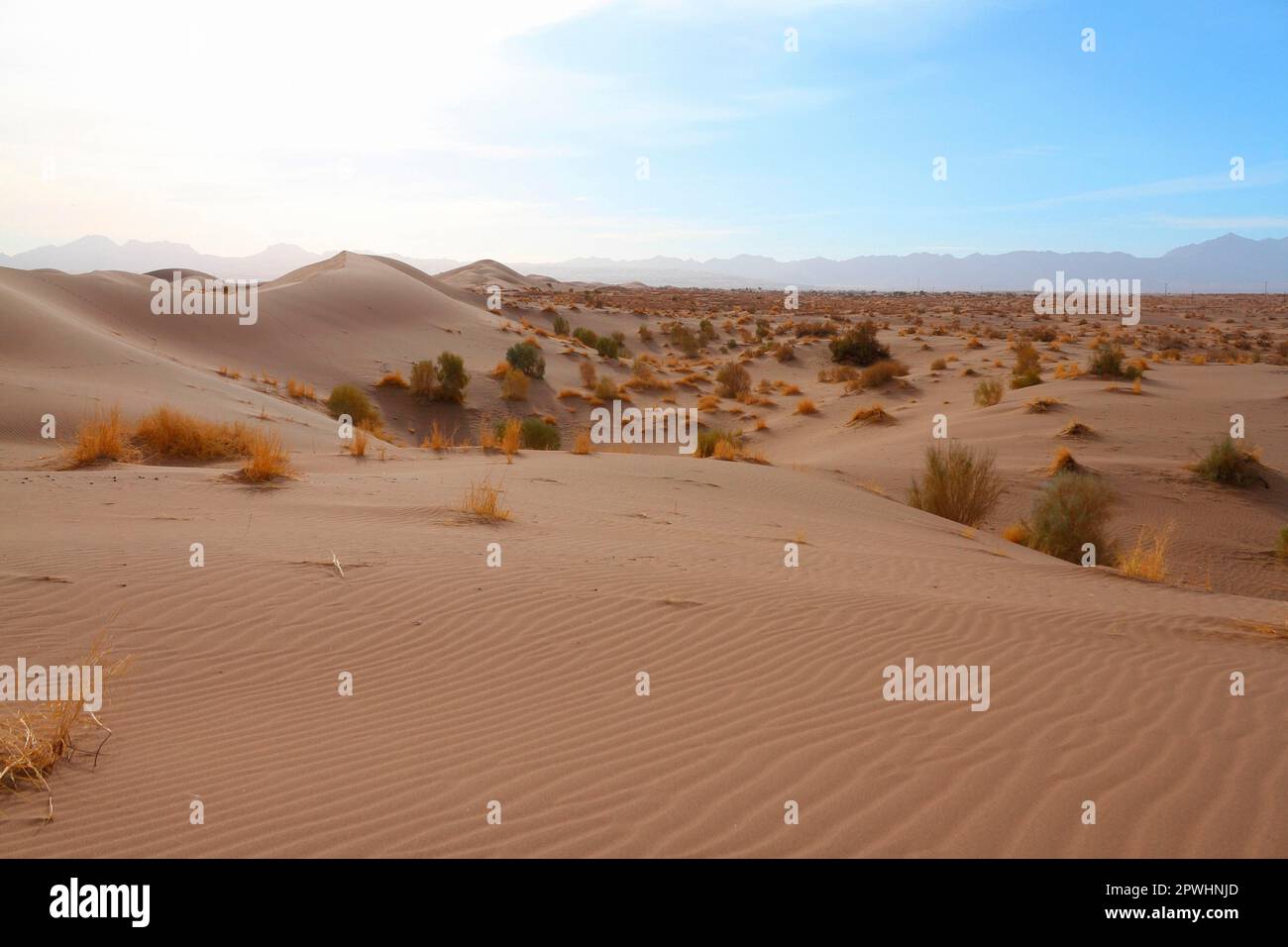Desert Landscape, Dashd-e-Kavir, Iran Stock Photo - Alamy
