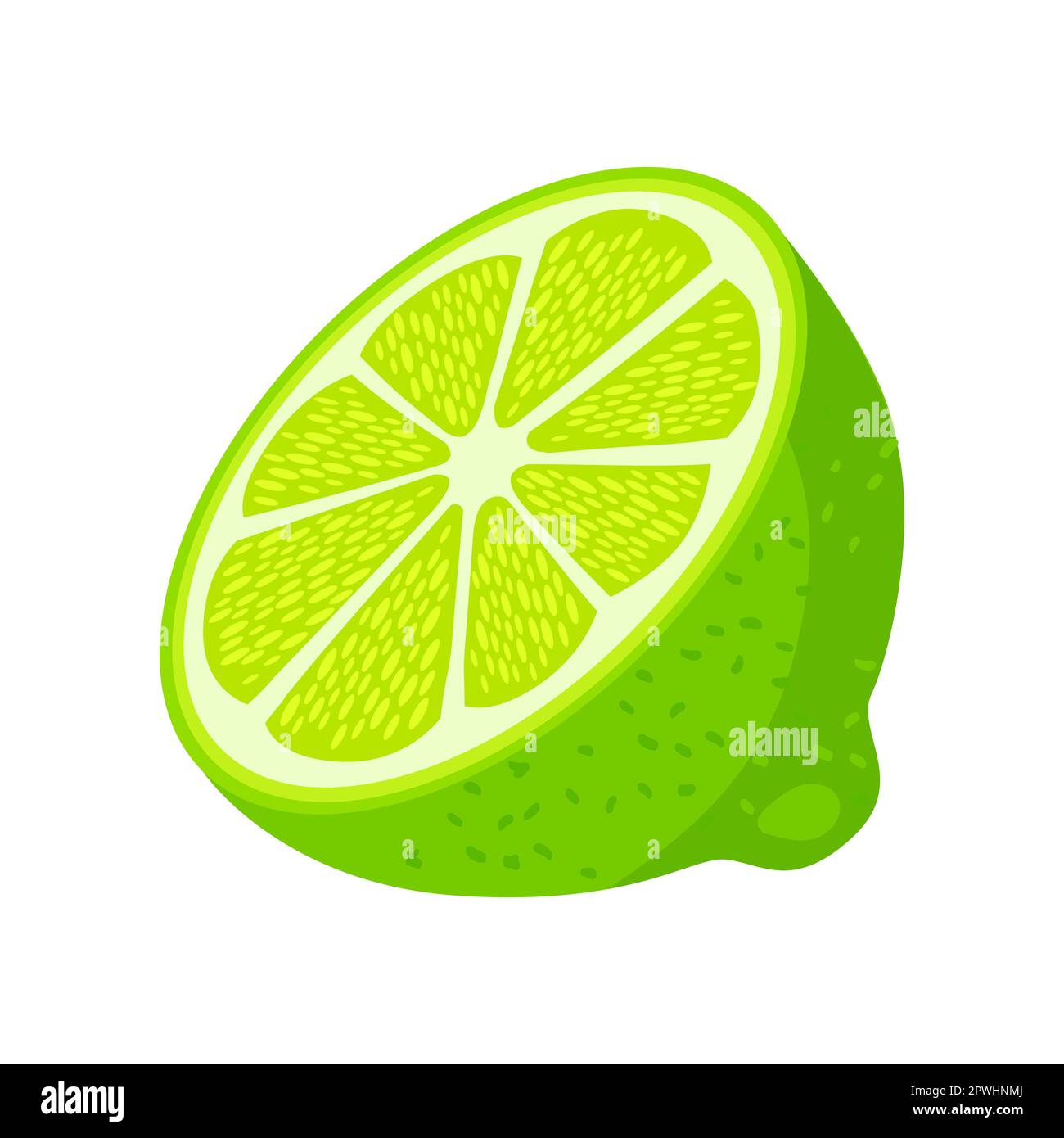 Half of lime with vitamin C vector illustration Stock Vector Image ...