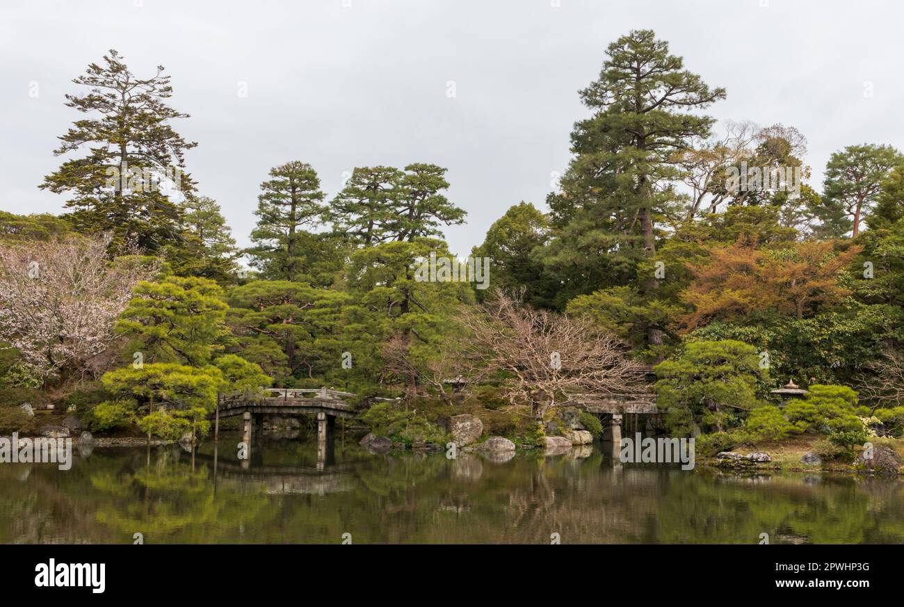 Cherry Blossom in Kyoto Gyoen National Garden, Kyoto, Japan Stock Photo ...