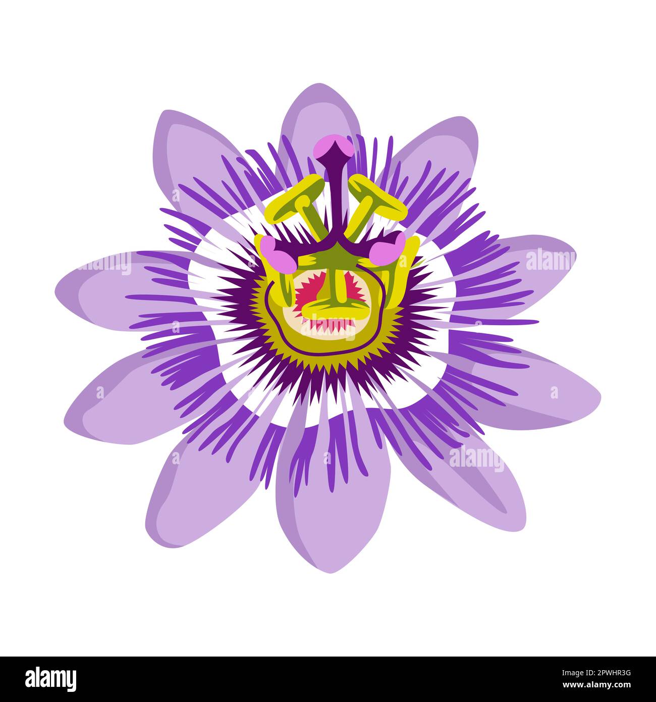 Hawaiian exotic jungle flower cartoon illustration. Wild tropical ...