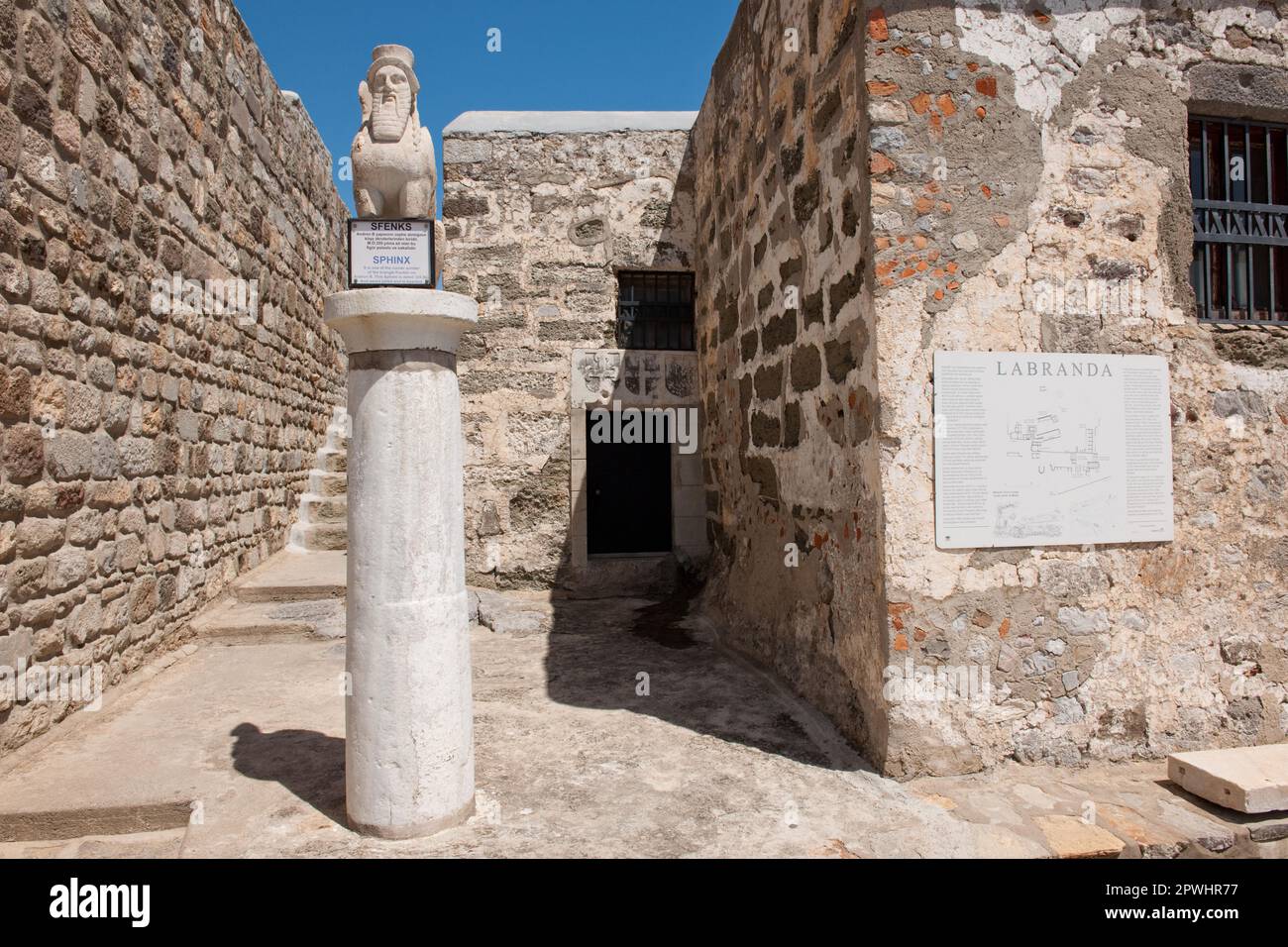 Underwater archaeology sphinx hi-res stock photography and images - Alamy