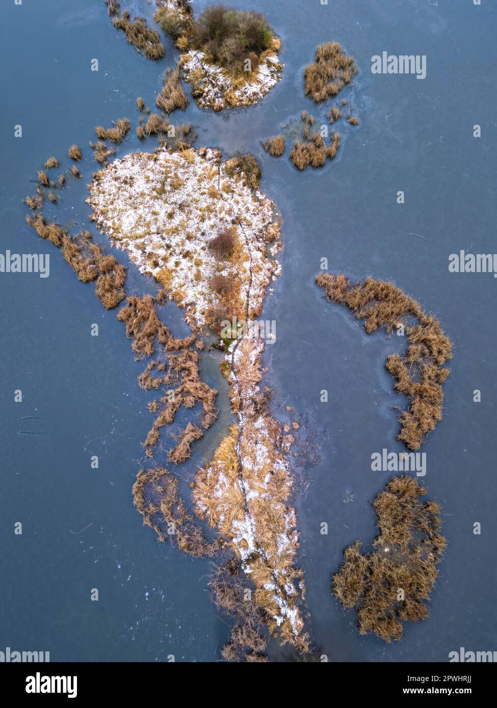 Aerial photograph, lake landscape, reed area, reed island, floodplain ...