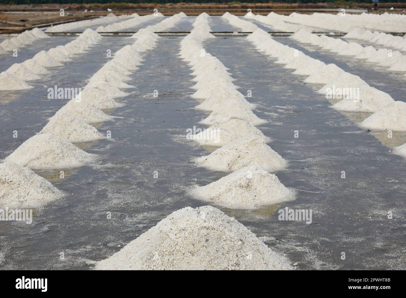 Rake salt hi-res stock photography and images - Alamy