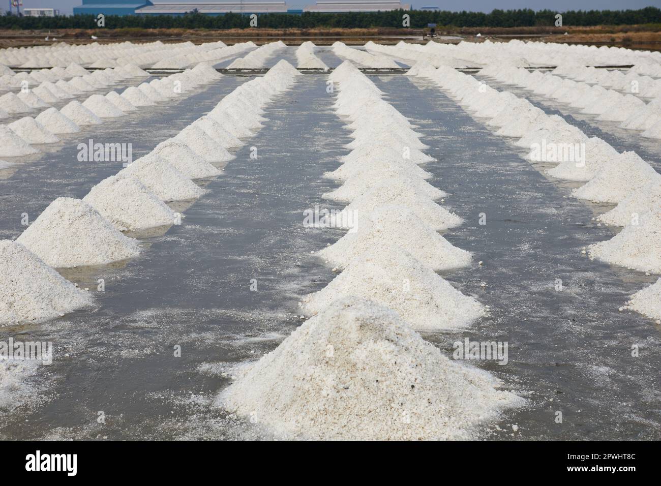 Heap of salt at salt pan in Thailand Stock Photo - Alamy