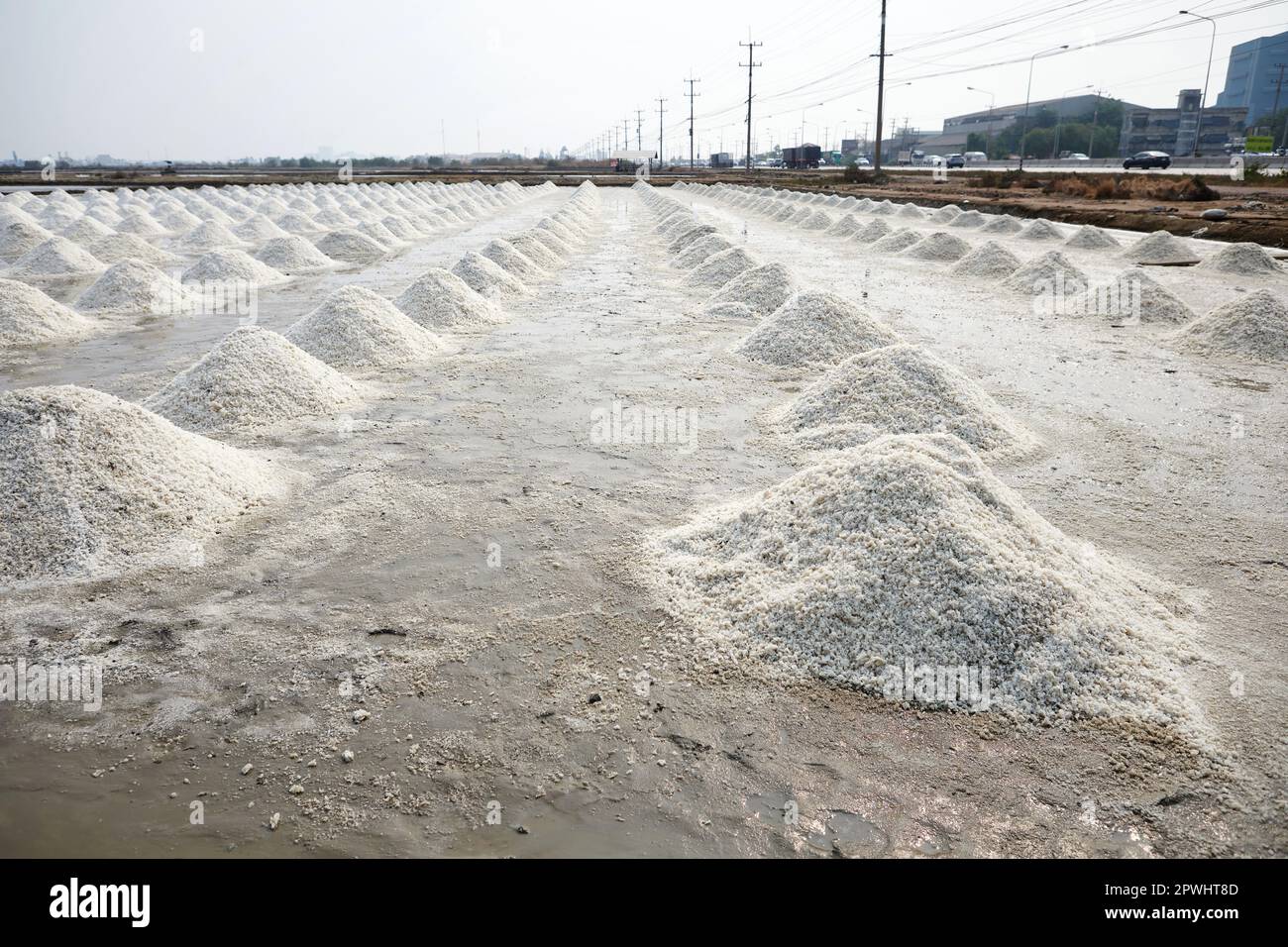 Sea water sea salt harvesting hi-res stock photography and images - Alamy